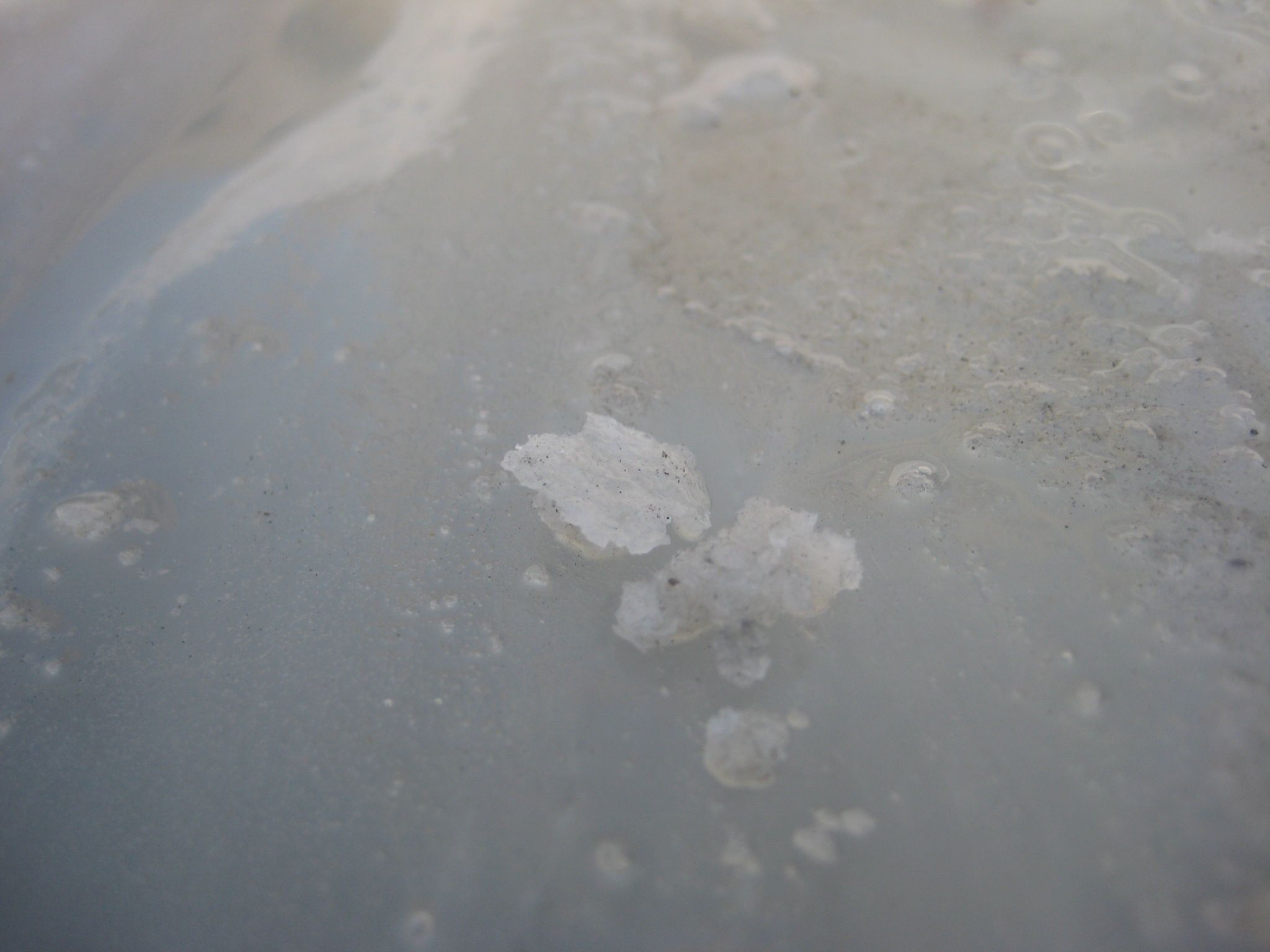 Making Medicinal All-Salt : 9 Steps (with Pictures) - Instructables