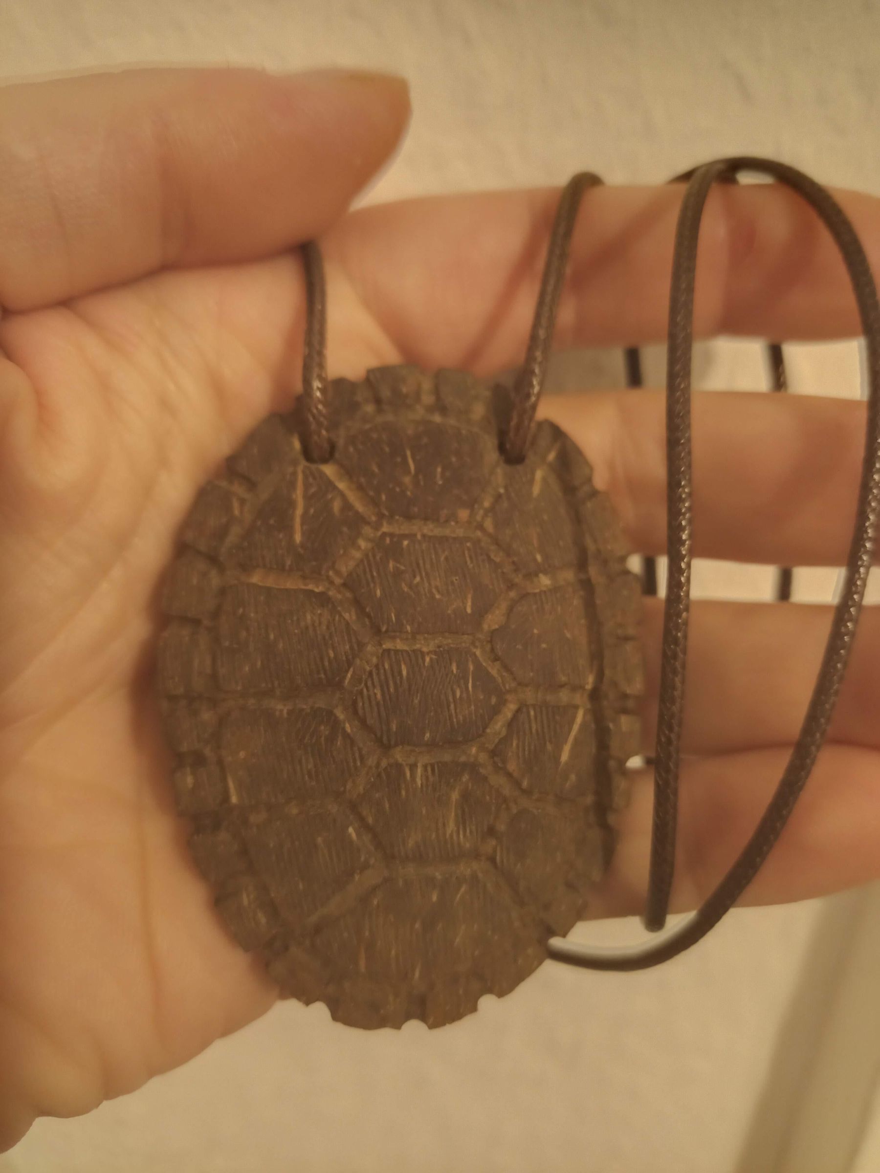 Turtle Shell From Coconut : 6 Steps (with Pictures) - Instructables