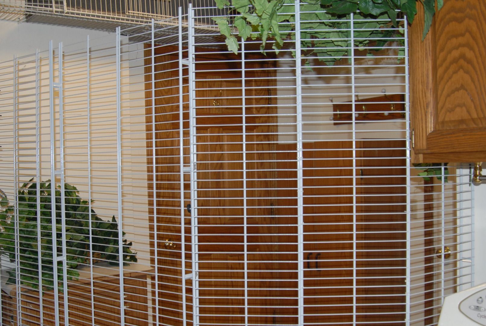 Kennel Enclosure: Wire Closet Shelving & Cable Ties in Minutes ...