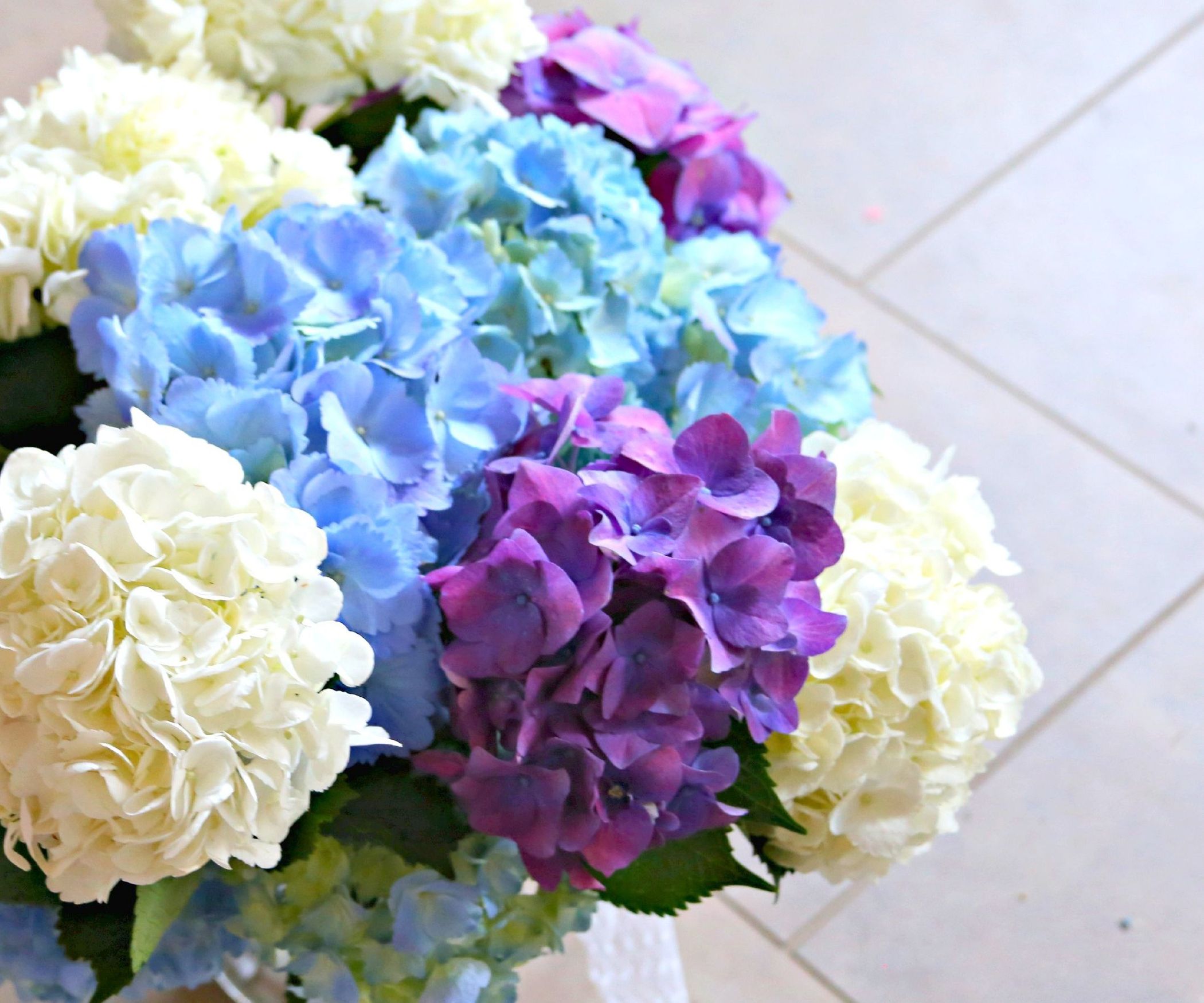 How to Make Flowers Last Longer : 8 Steps (with Pictures) - Instructables