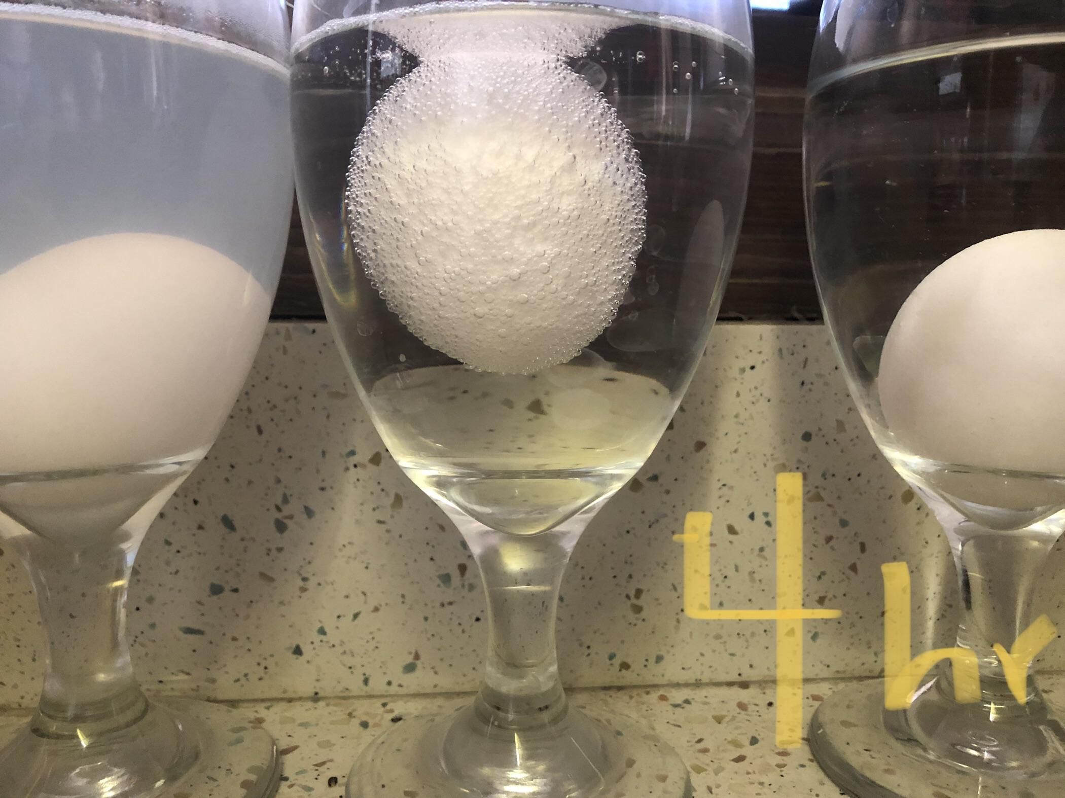 Naked Egg Experiment and Cleaning Hard Water Spots : 4 Steps (with ...