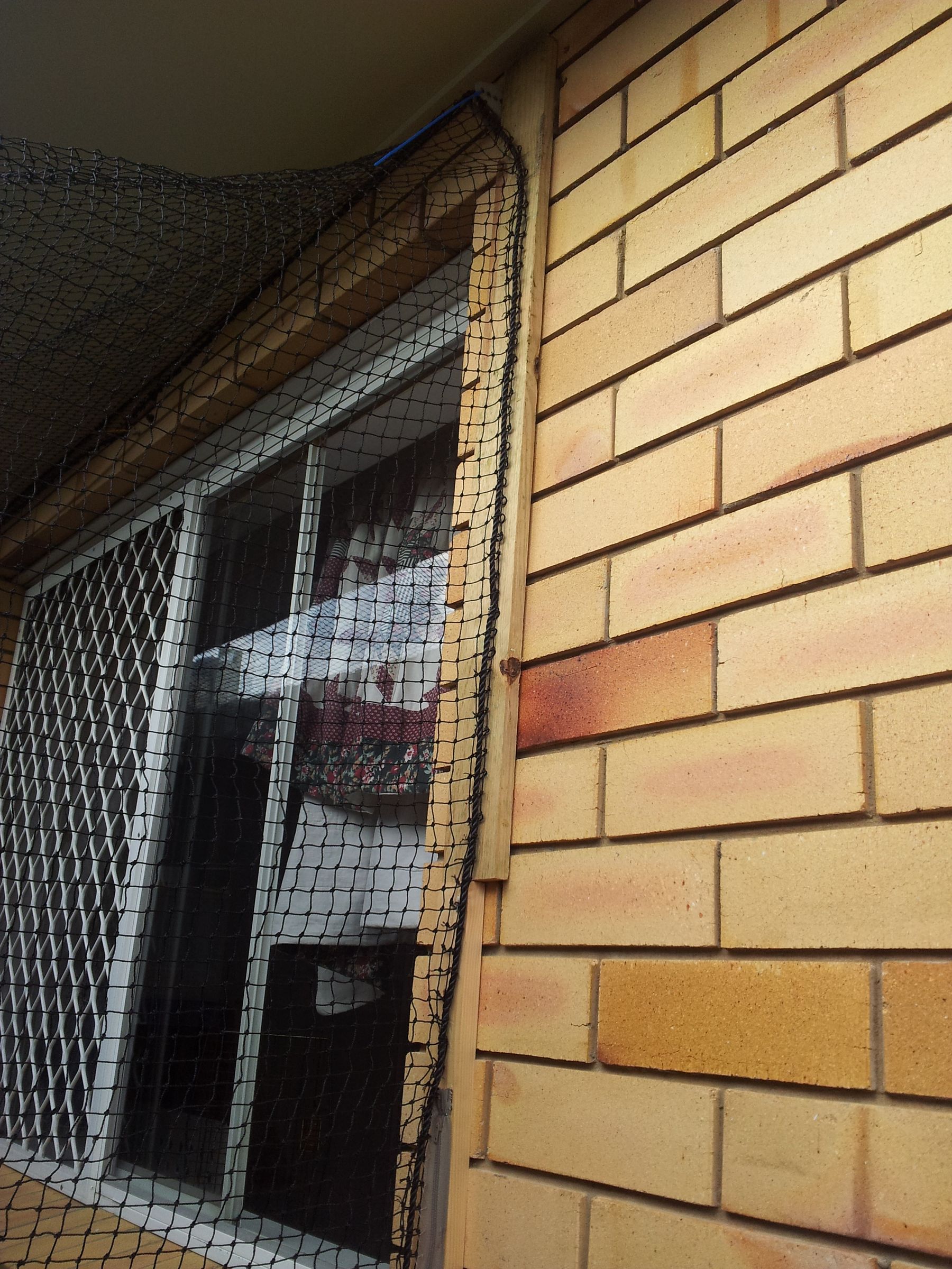 DIY Custom Fit Cat Run : 10 Steps (with Pictures) - Instructables