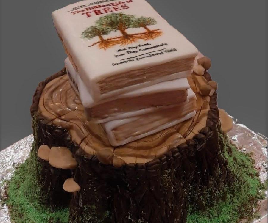 How to Sculpt a Cake - Into Anything! : 28 Steps (with Pictures ...