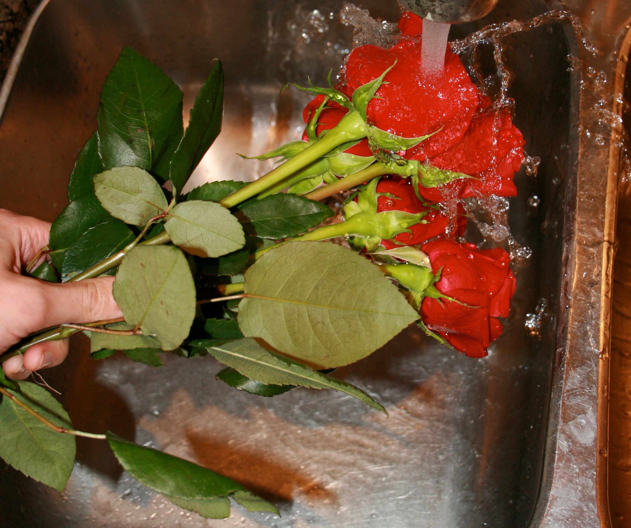 Edible Chocolate-covered Roses : 5 Steps (with Pictures) - Instructables