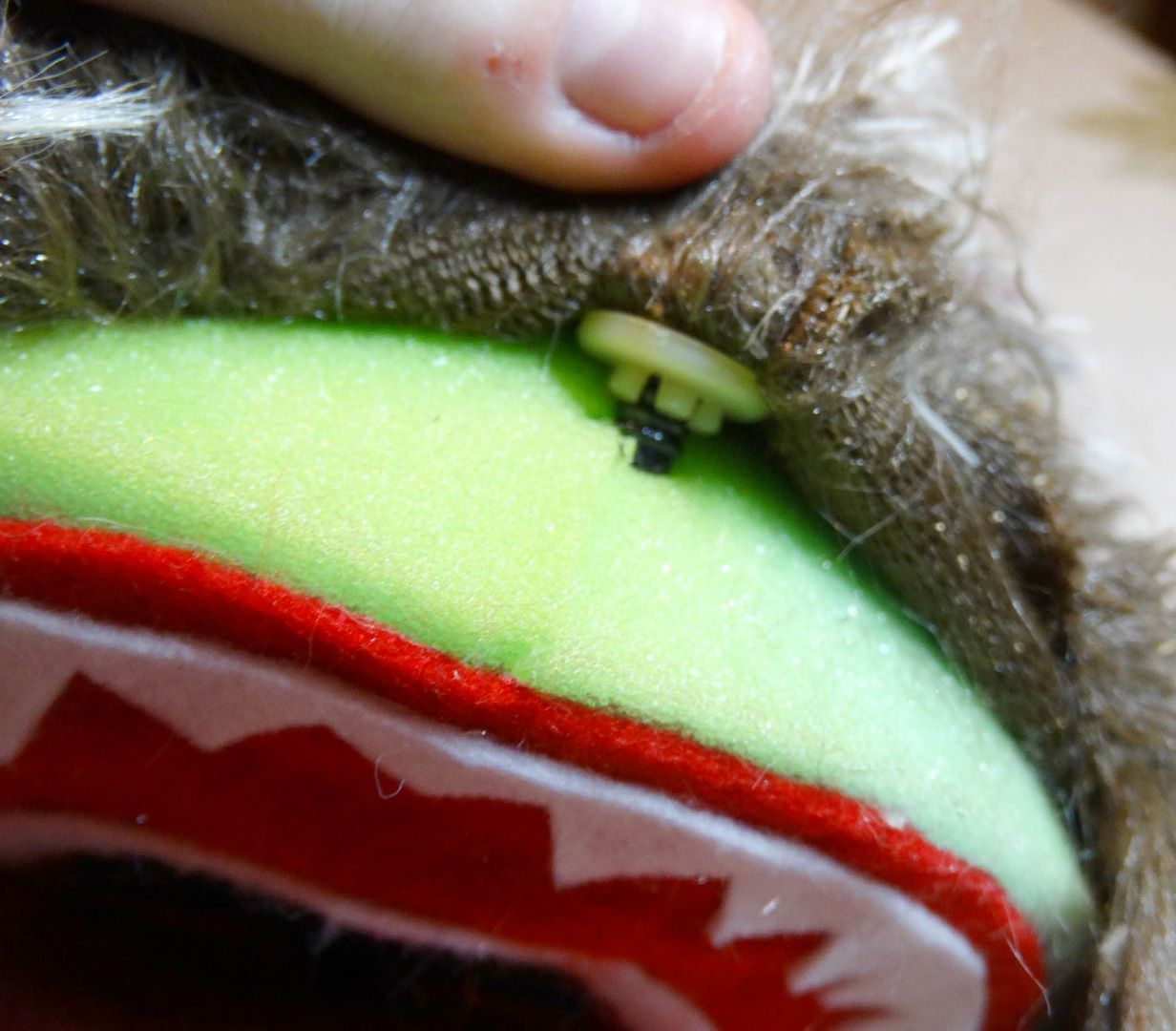 Dark Crystal Fizzgig Inspired Puppet : 11 Steps (with Pictures ...