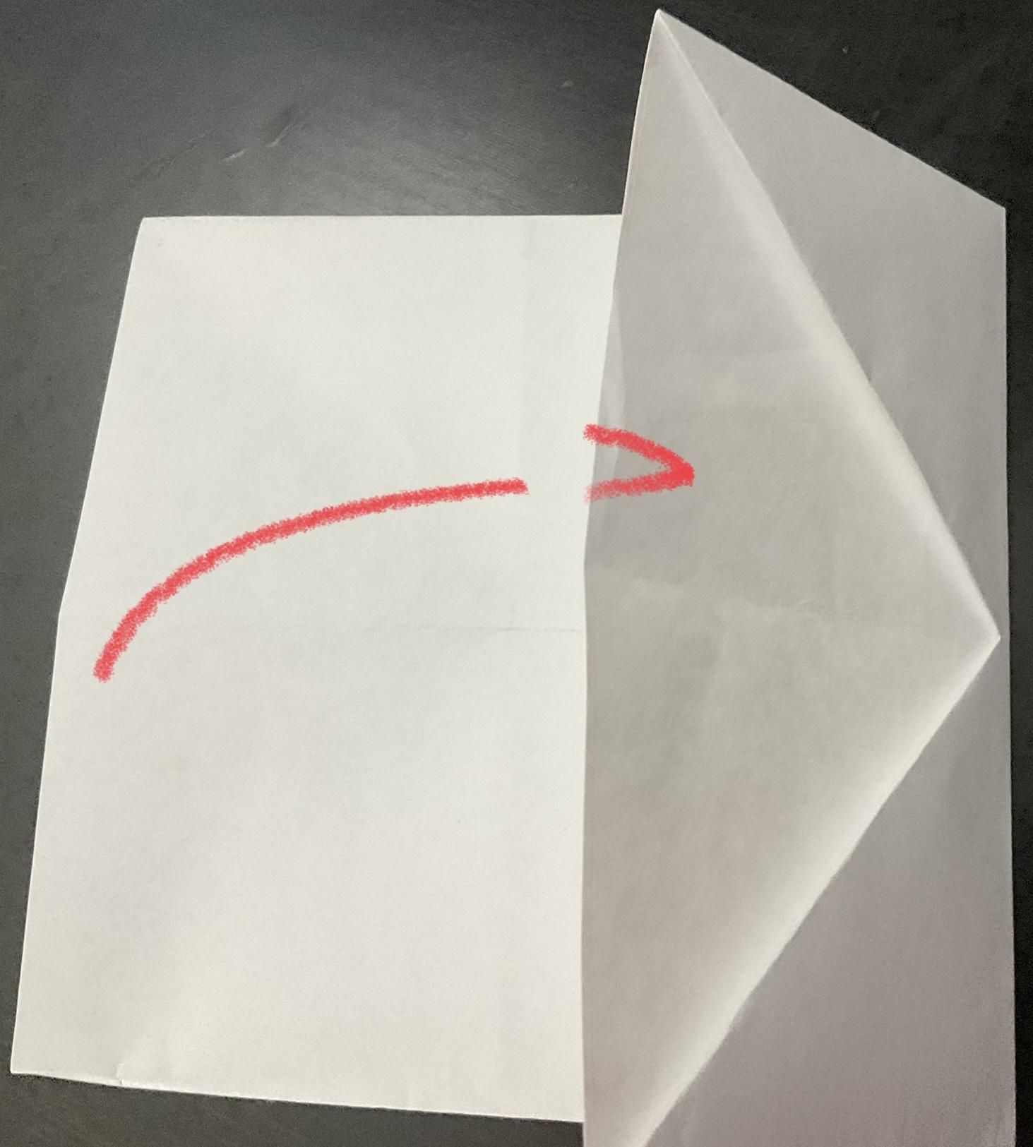 Easy 7+ Pockets Origami Folder! (Traditional Model) : 5 Steps - Instructables