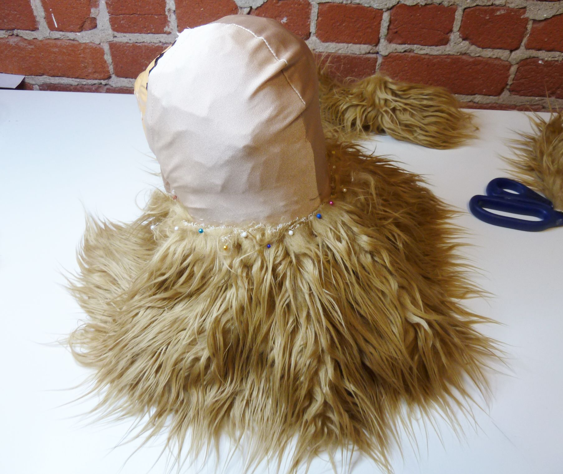 Lion Dog Costume : 5 Steps (with Pictures) - Instructables