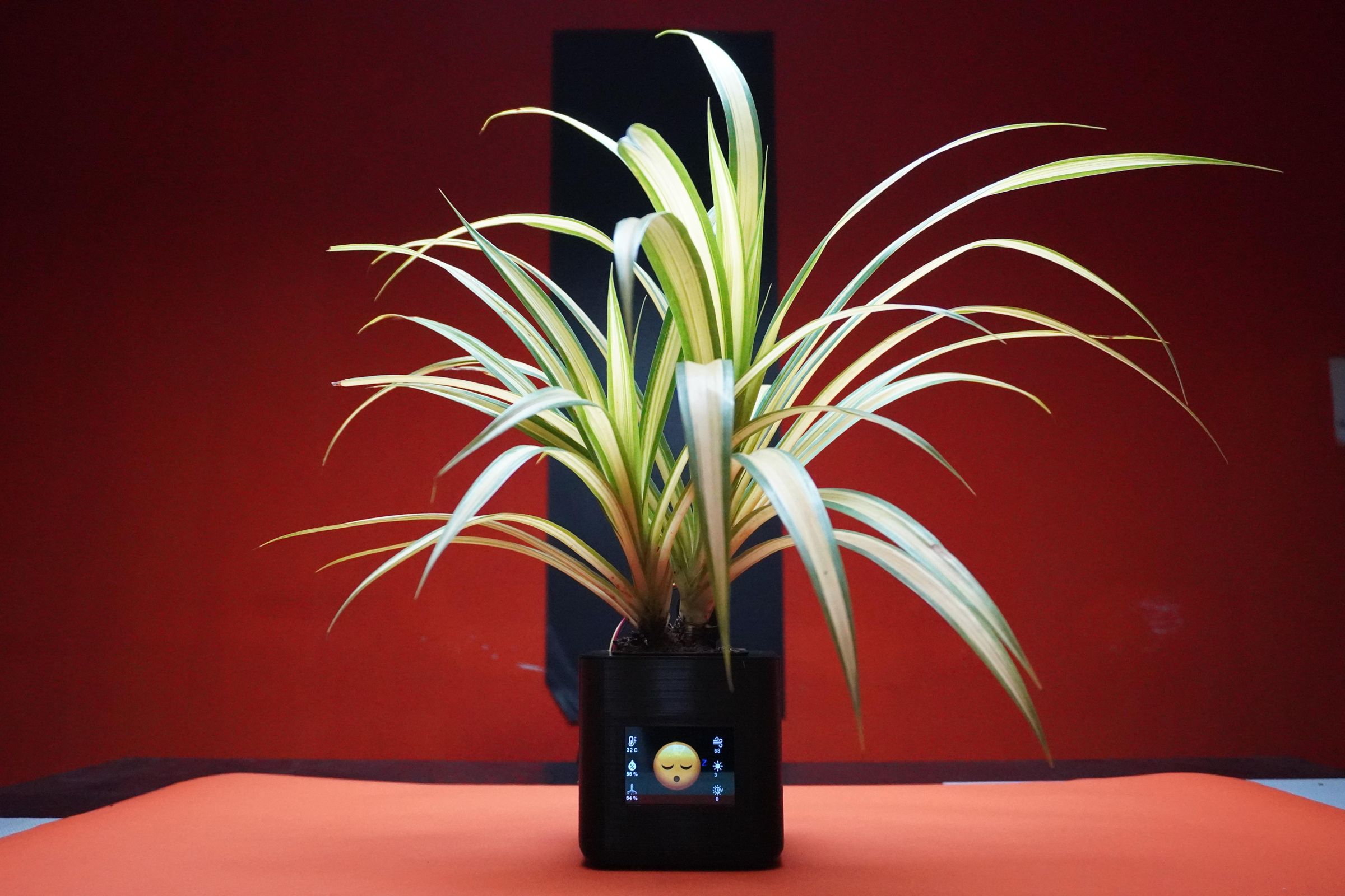 Pet Pot : 11 Steps (with Pictures) - Instructables