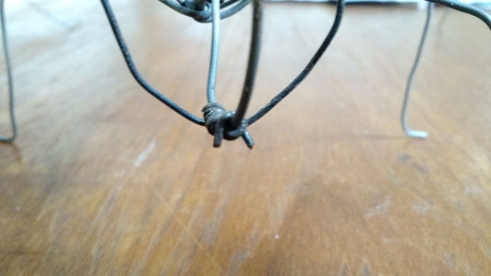 Build a Realistic Insect From Wire : 5 Steps (with Pictures ...