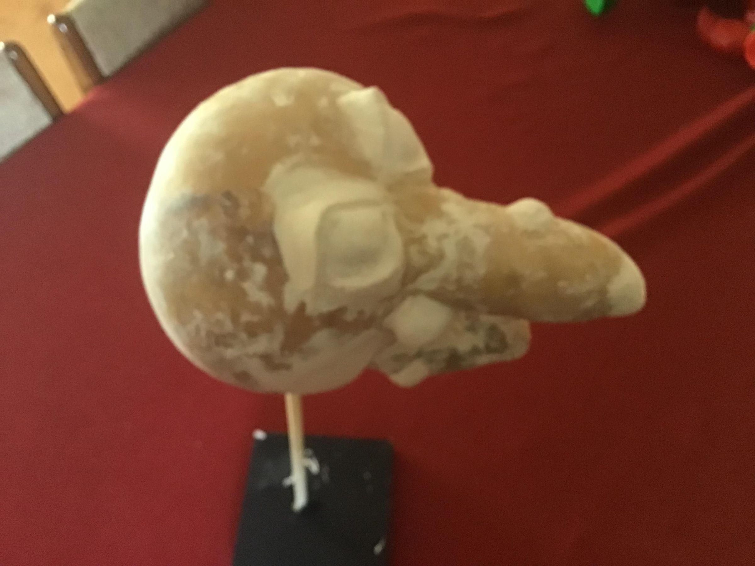 Gourd Witch Hand Puppet : 4 Steps (with Pictures) - Instructables