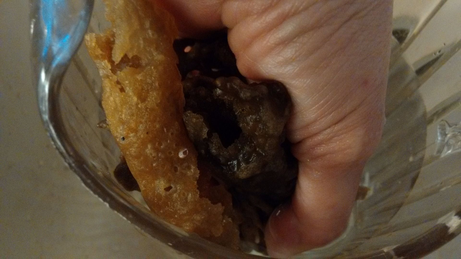 Sponging Up: Cleaning & Preserving Beachcombed Sponges : 10 Steps (with ...