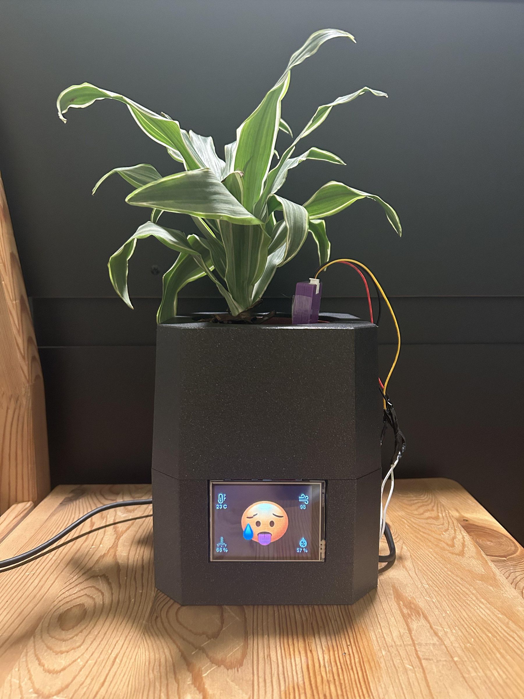 The Pet Pot : 8 Steps (with Pictures) - Instructables