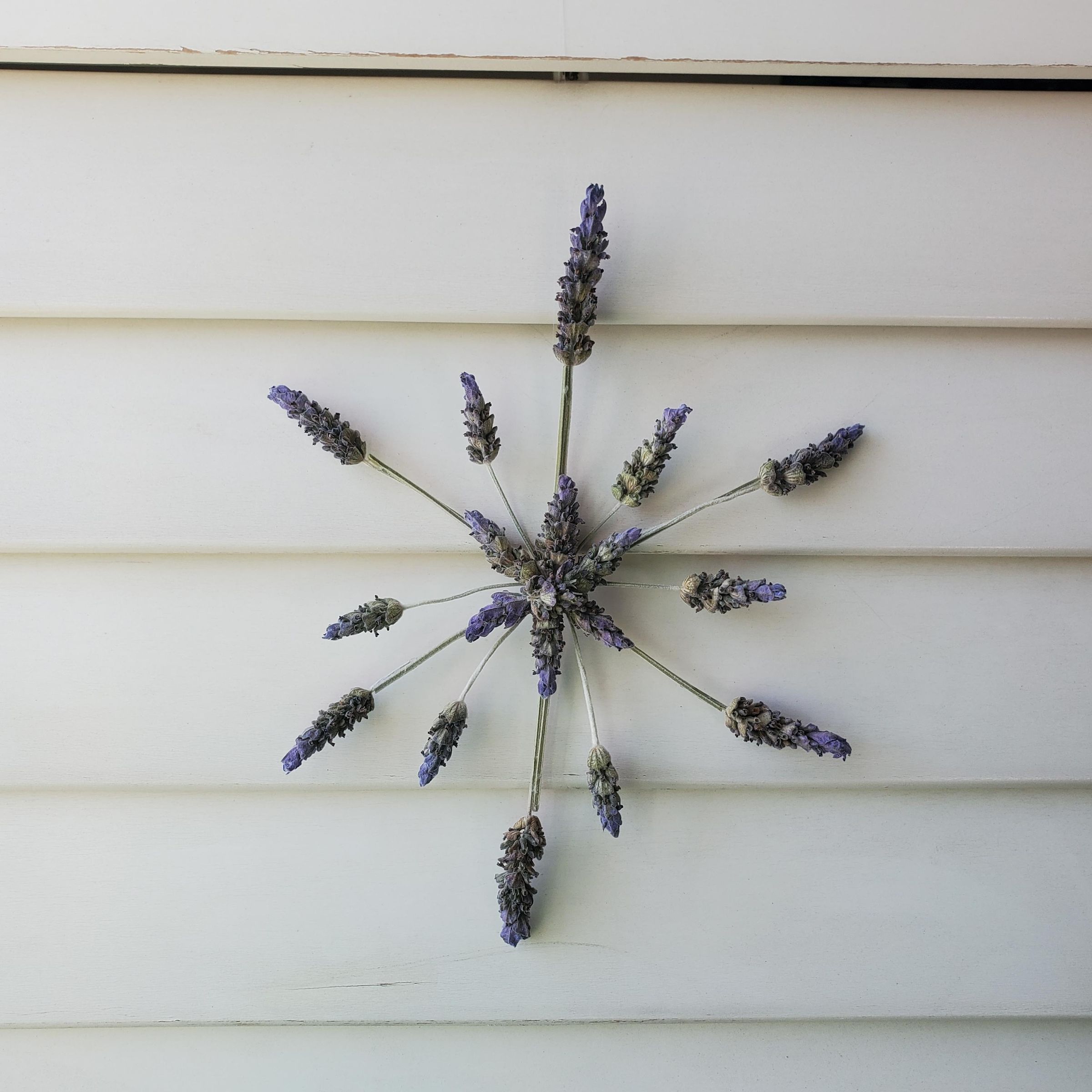 Dried Lavender Snowflake : 5 Steps (with Pictures) - Instructables