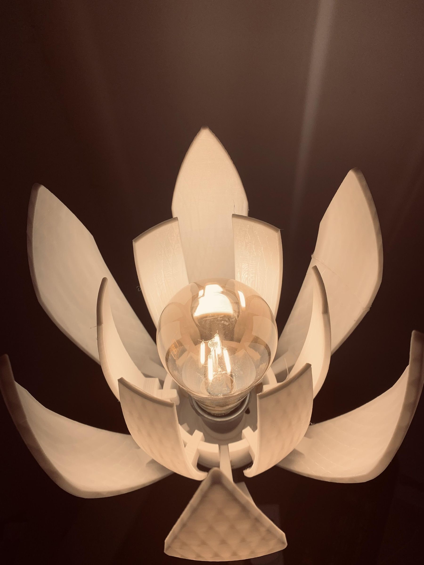 3D Printed Flower Shape Lamp. : 6 Steps (with Pictures) - Instructables