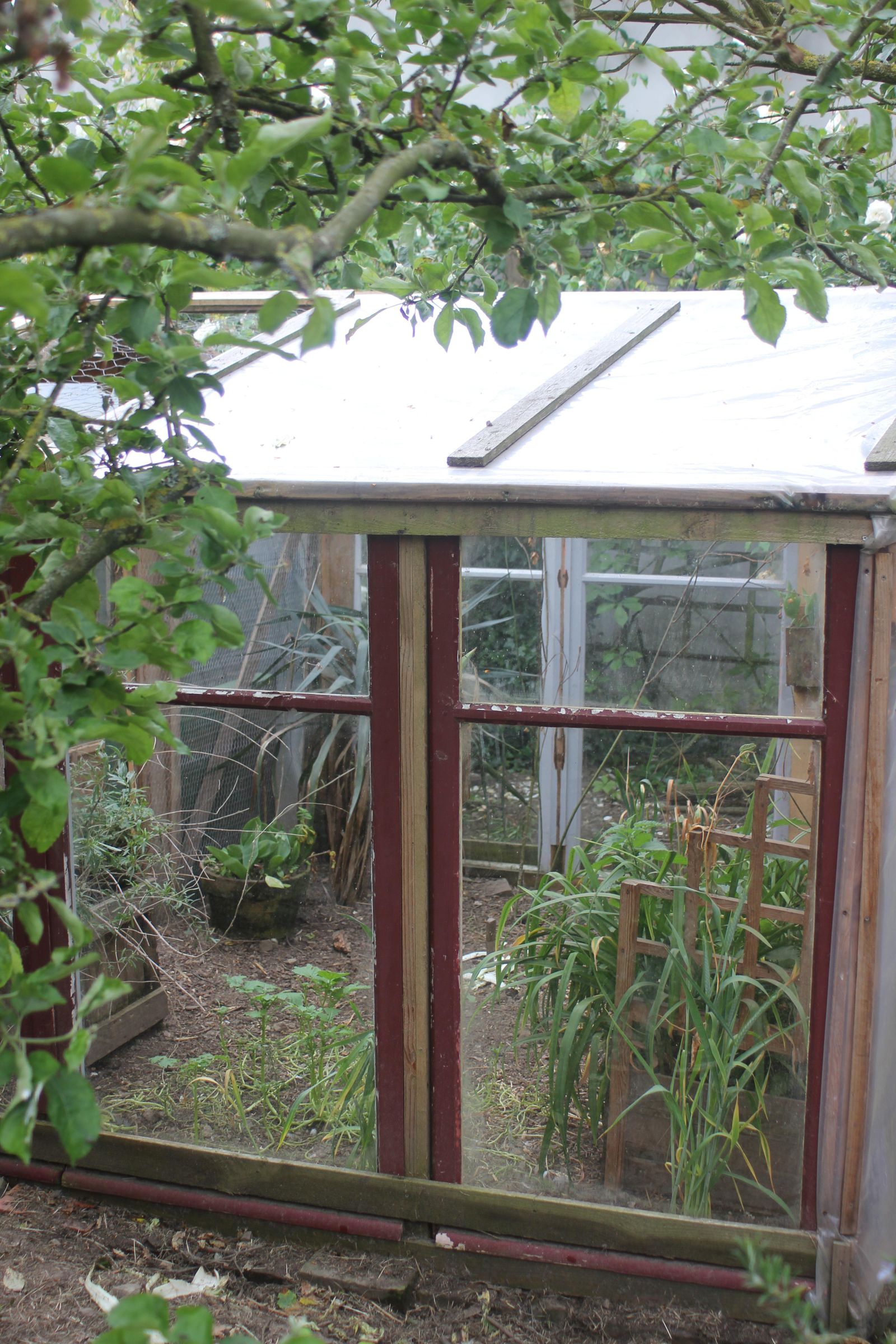 Greenhouse Extension - Making a Safe Living, Nesting & Brooding Area ...