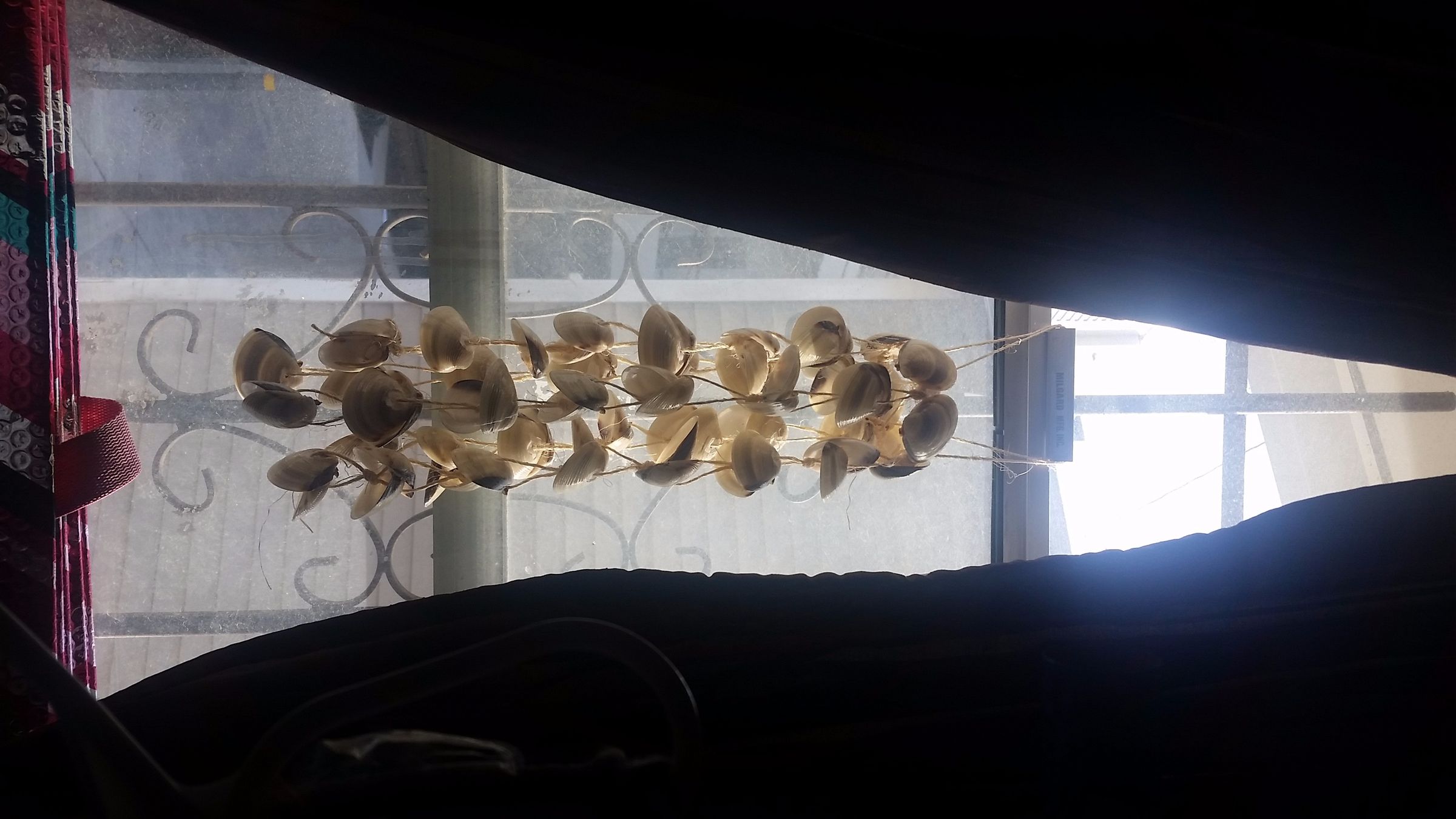 DIY Clam Shell Wind Chime : 4 Steps (with Pictures) - Instructables