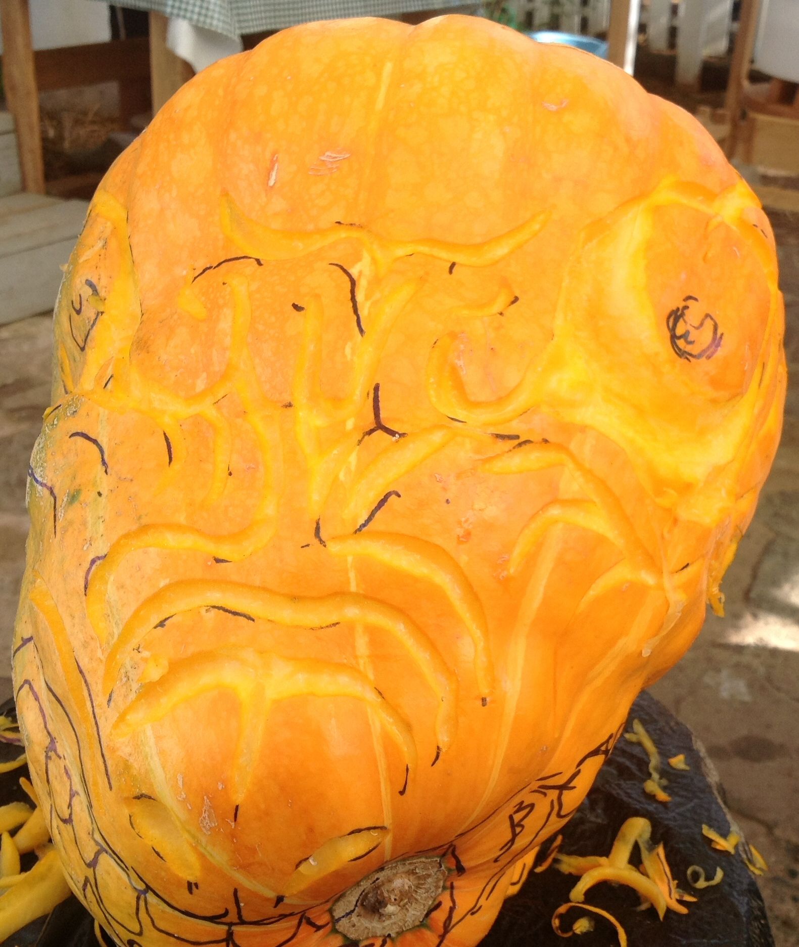 Carnivorous Pumpkin Carving With Pictures Instructables