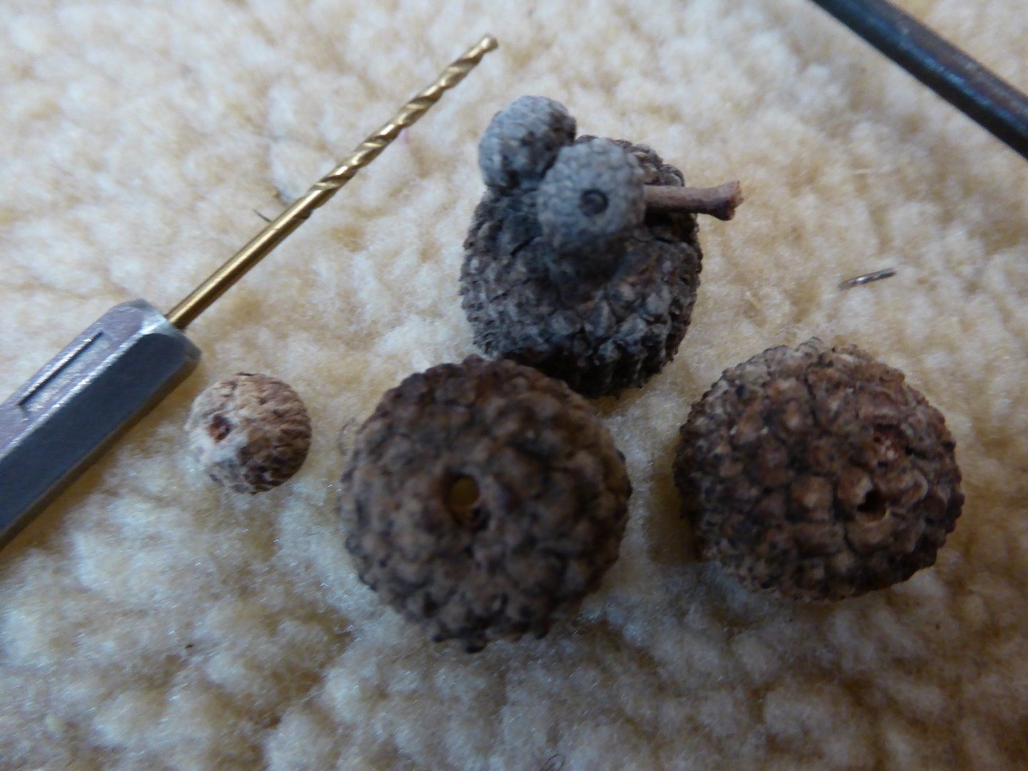 Acorn Cap Earrings : 5 Steps - Instructables