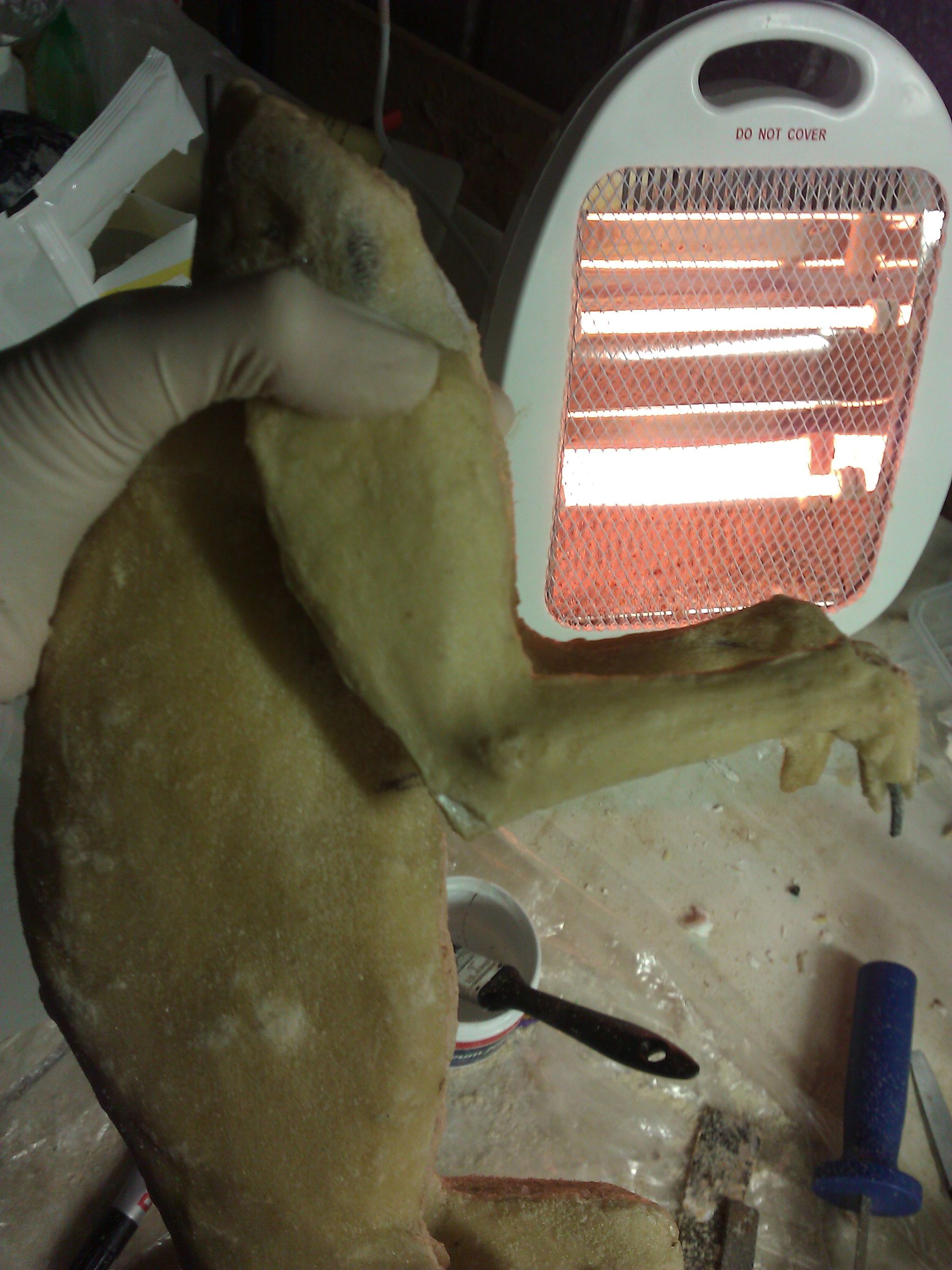 Carcass Casting : 30 Steps - Instructables