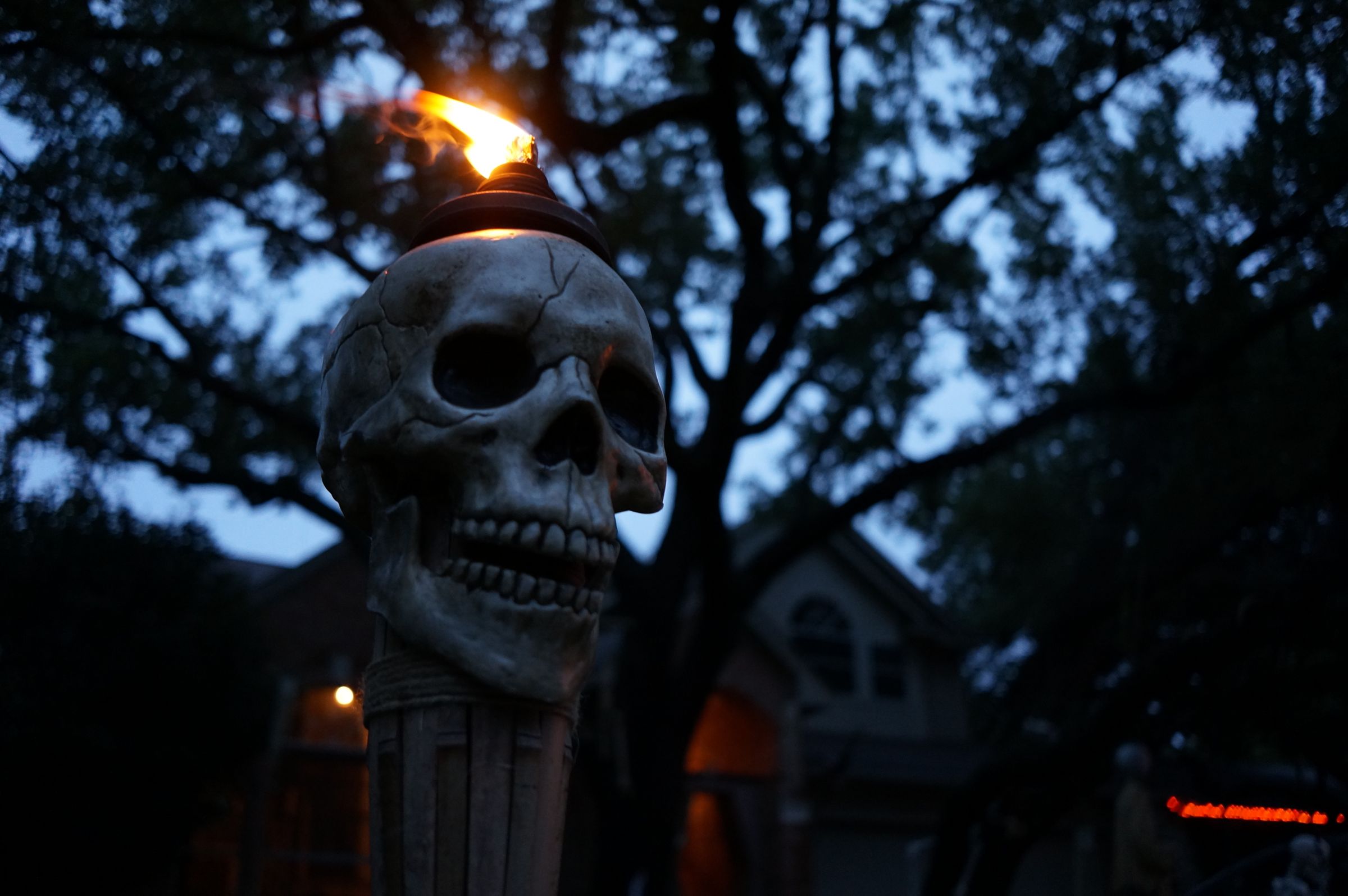 DIY Skull Torches : 3 Steps (with Pictures) - Instructables