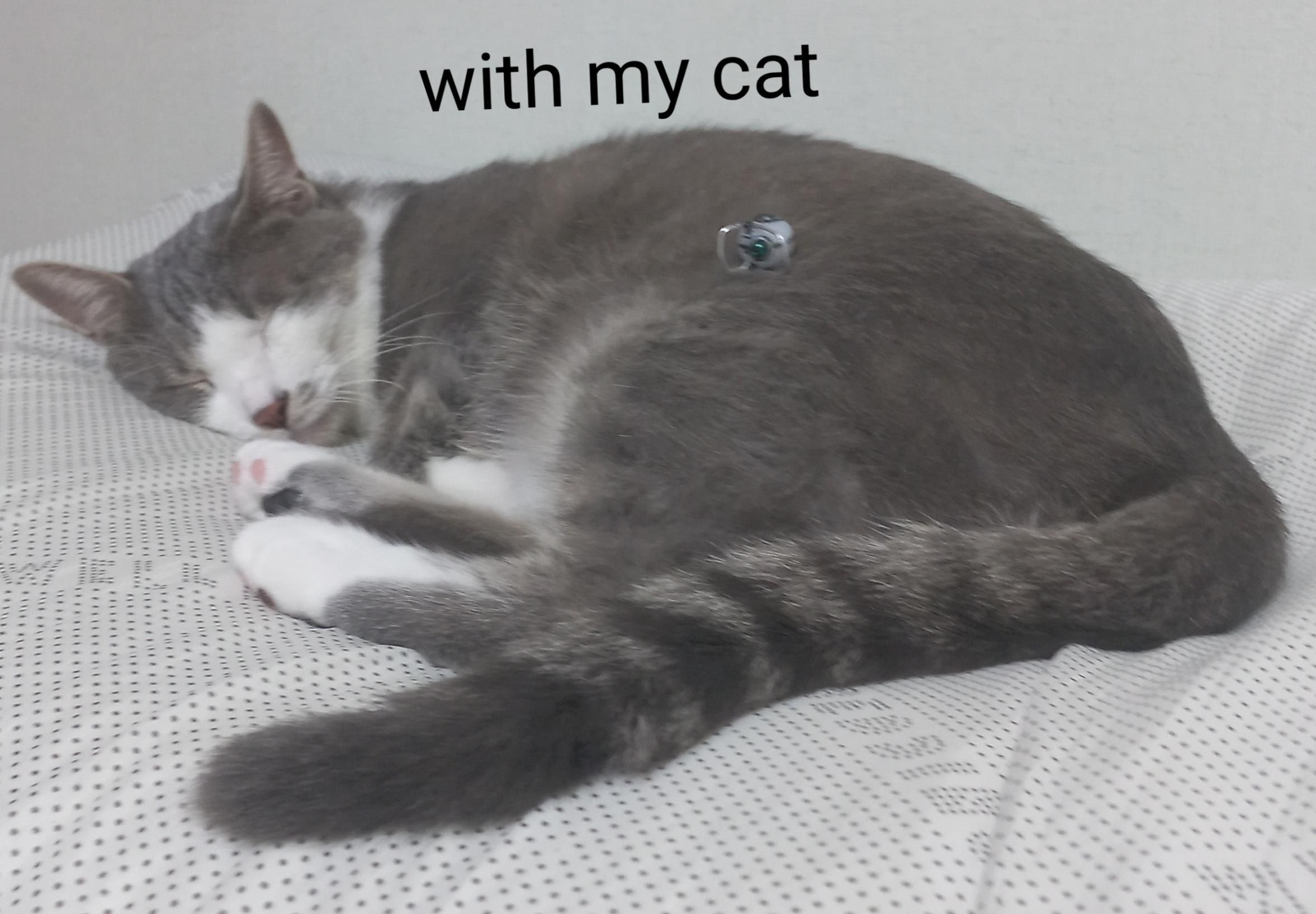 Super-tiny Portal Core(rick) : 4 Steps - Instructables