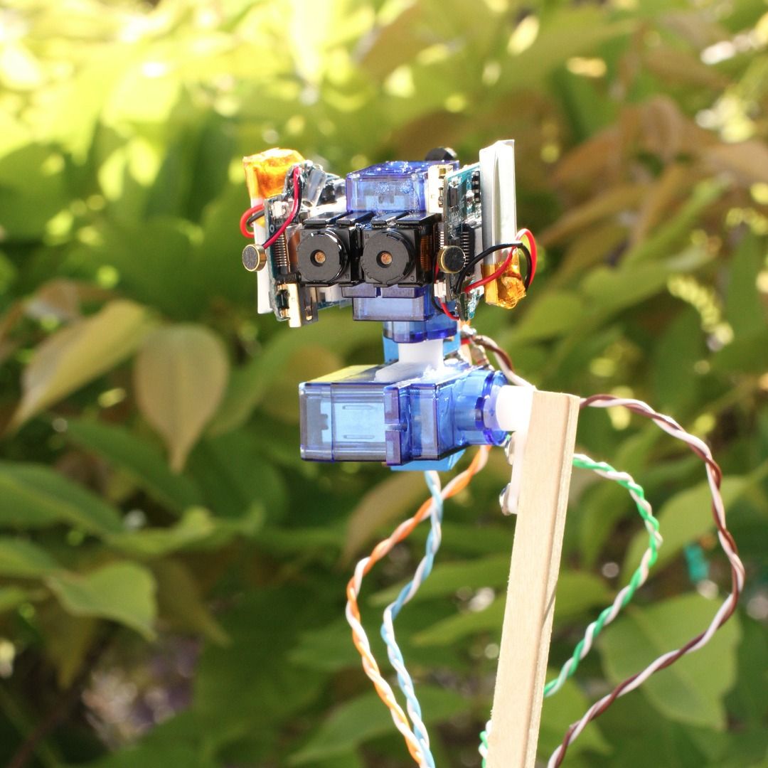 Binocular Robot Head a Stereoscope Camera : 7 Steps (with Pictures ...
