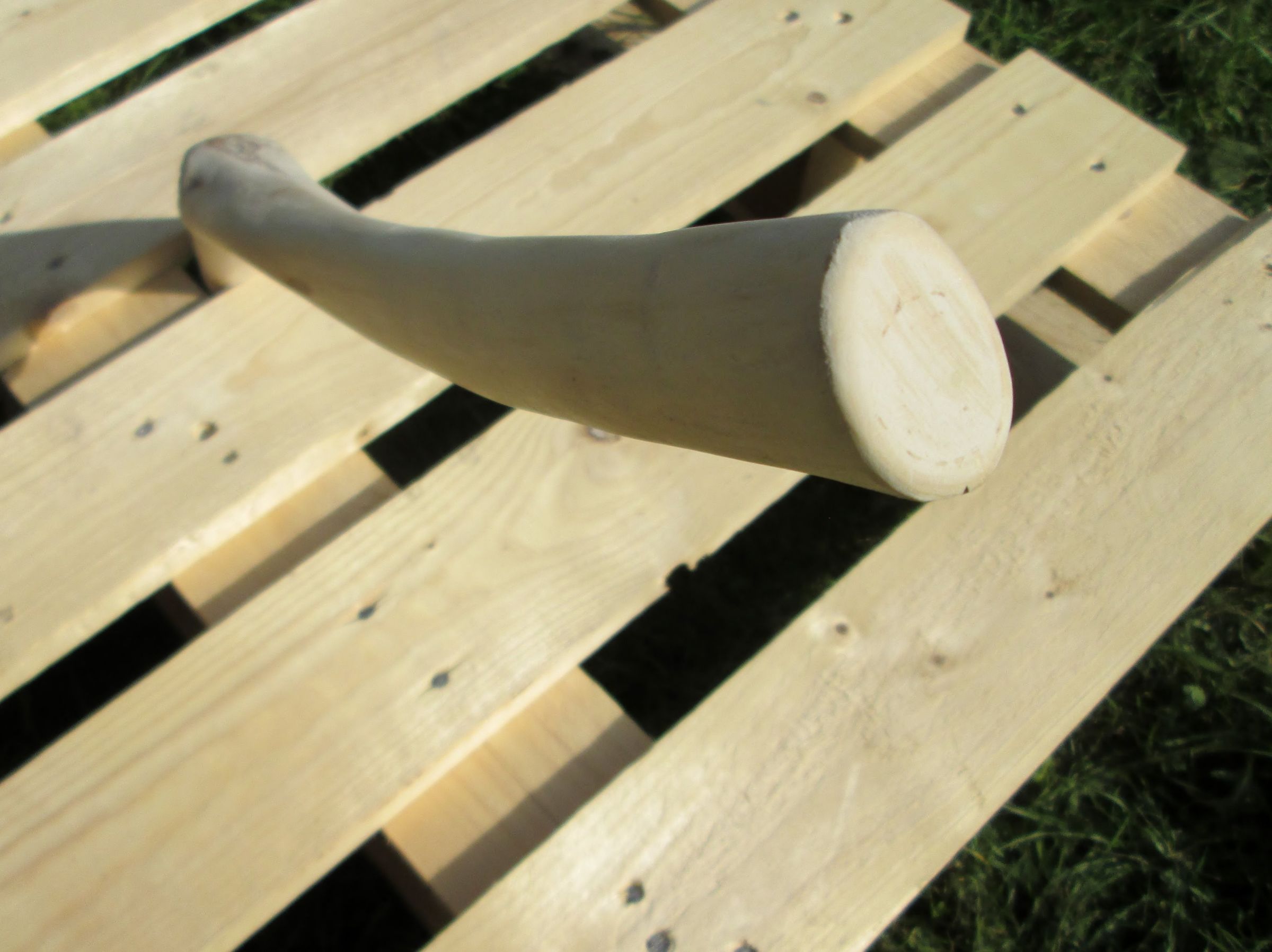 The Rabbit Stick Hunter : 4 Steps (with Pictures) - Instructables