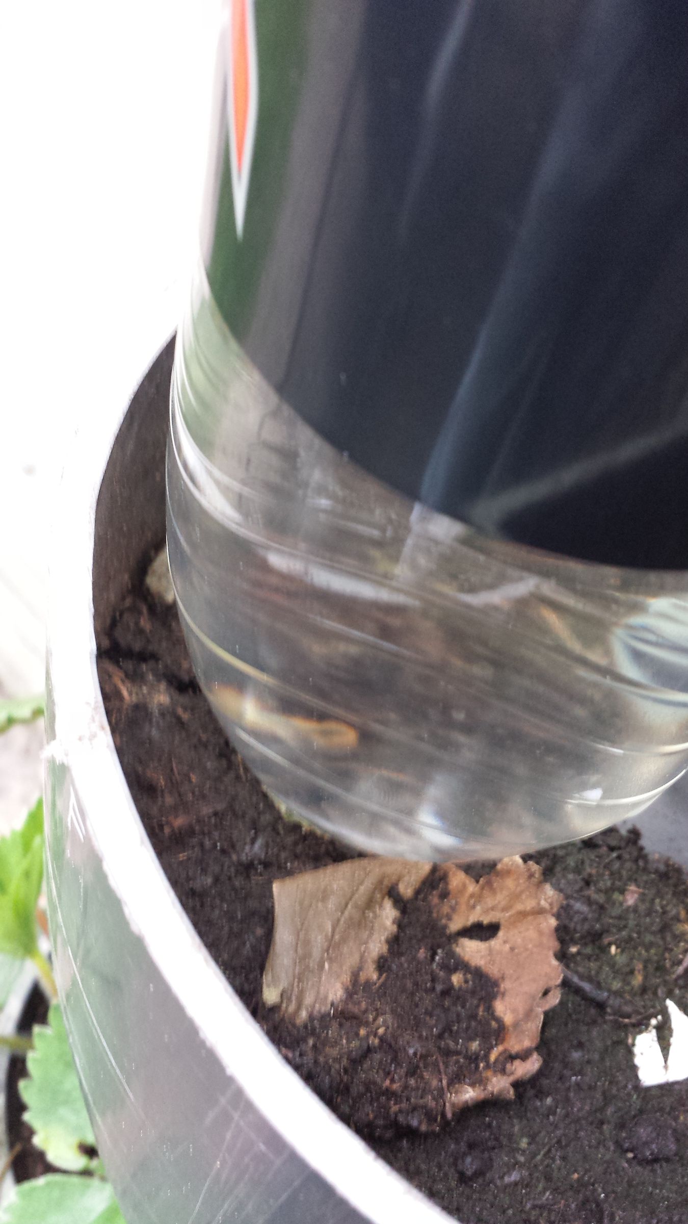 Plant Tower Made Out of PVC Pipe (15 Pockets) : 8 Steps (with Pictures ...