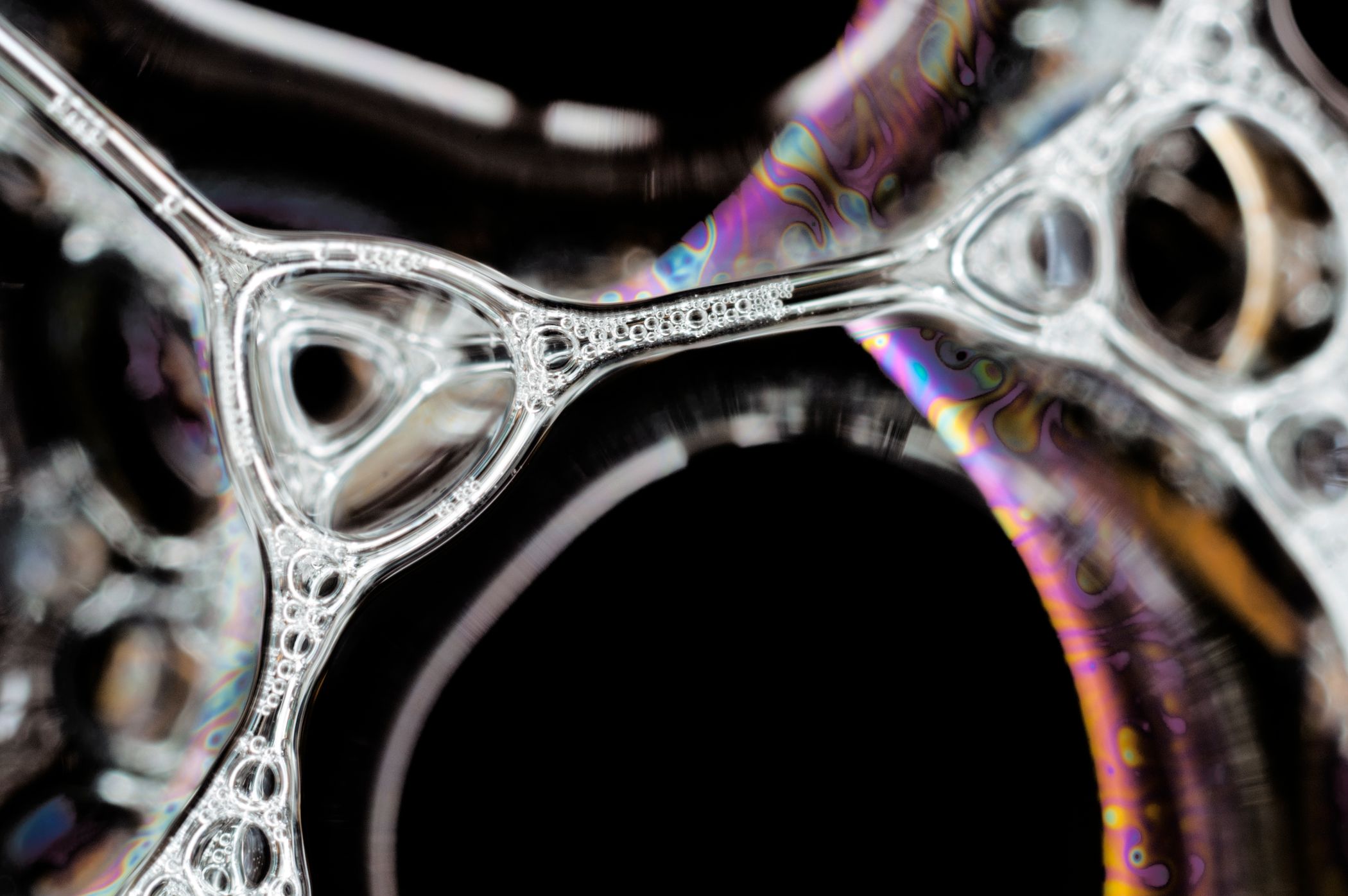 Macro Photography and Photomicroscopy : 9 Steps (with Pictures ...