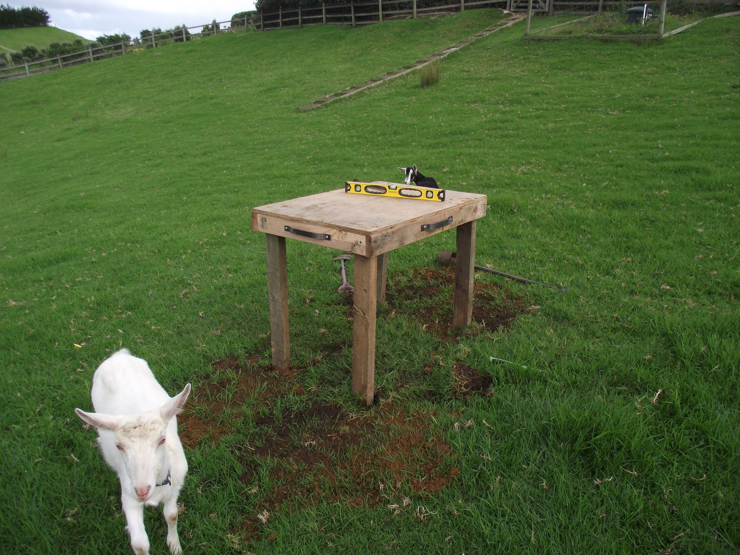 Dog Agility Table : 12 Steps (with Pictures) - Instructables