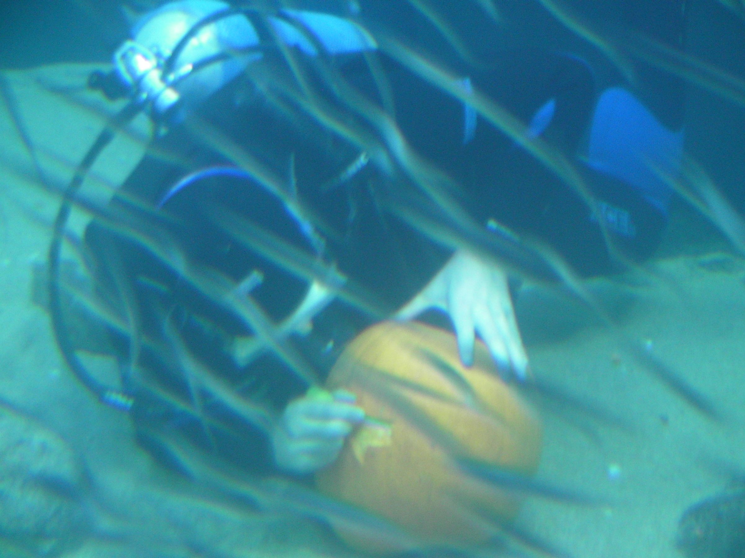 Underwater Pumpkin Carving How To : 8 Steps (with Pictures) - Instructables