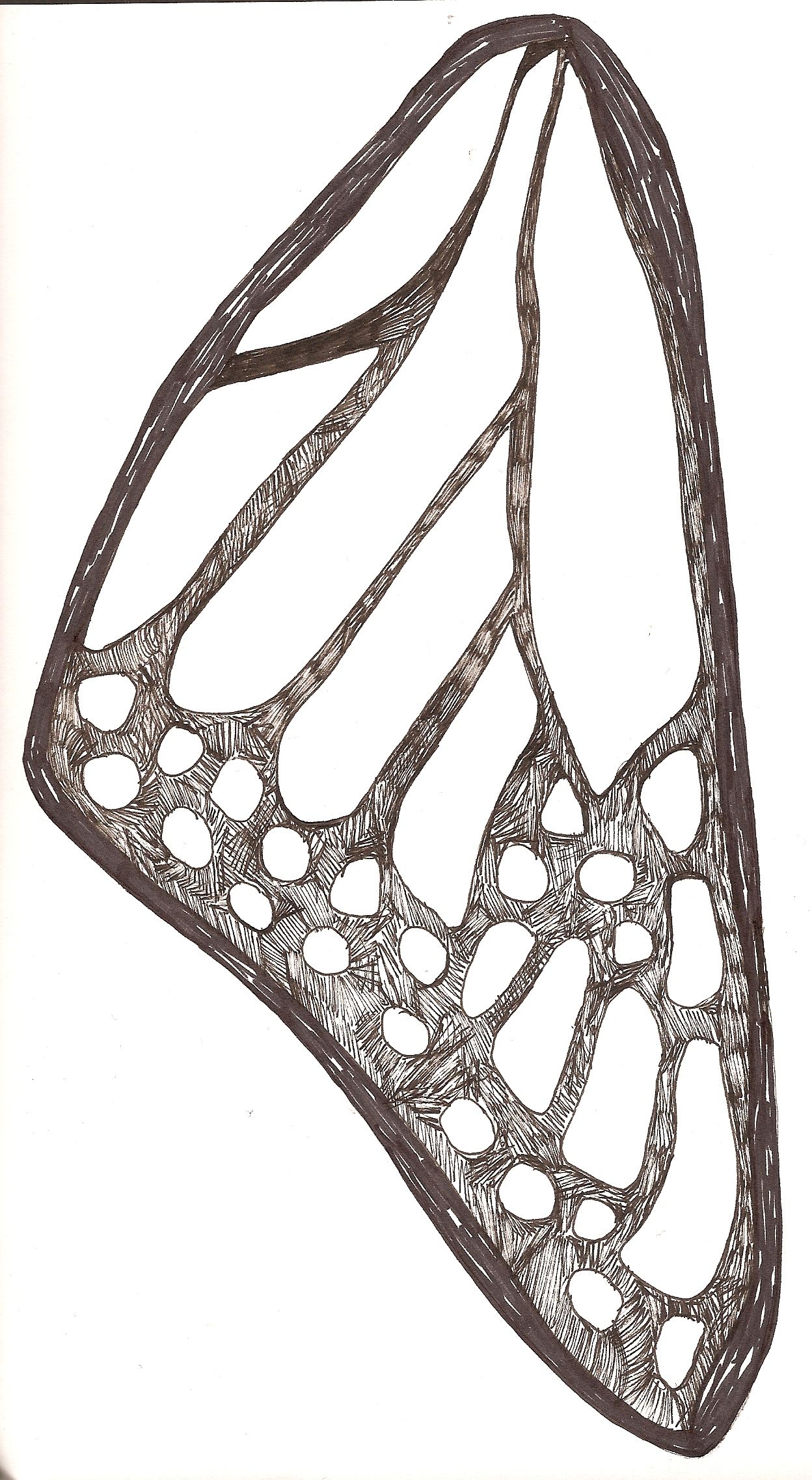 Hand Drawn to Digital Illustrations : 7 Steps (with Pictures ...