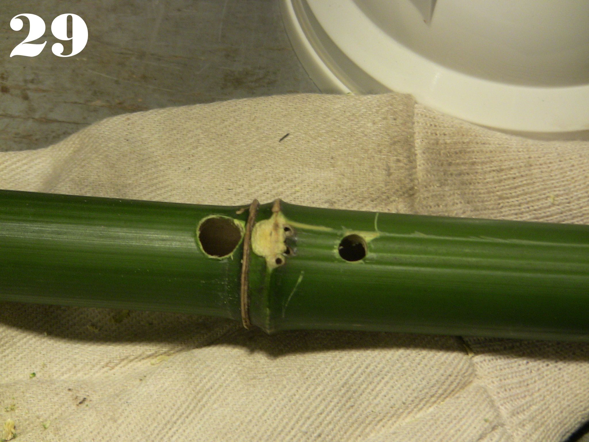 Make 4 Easy Bamboo Flutes for Free! : 7 Steps (with Pictures ...