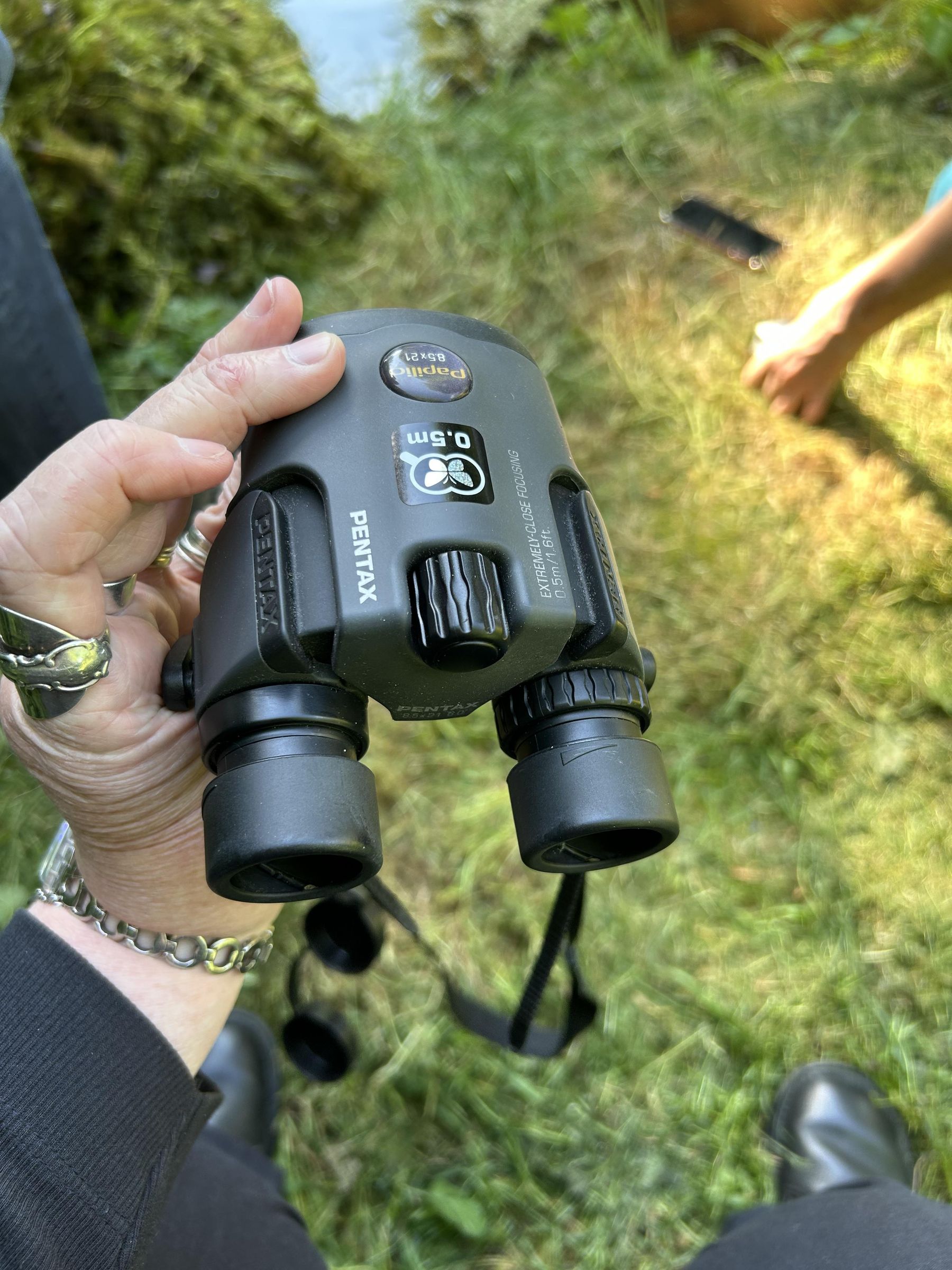 A Wild Pond Teeming With Plants, Insects and Newts : 5 Steps (with ...