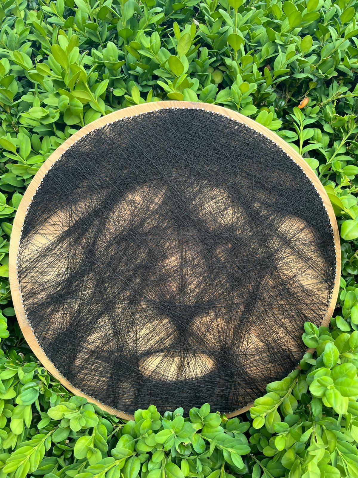 String Art Generator : 7 Steps (with Pictures) - Instructables