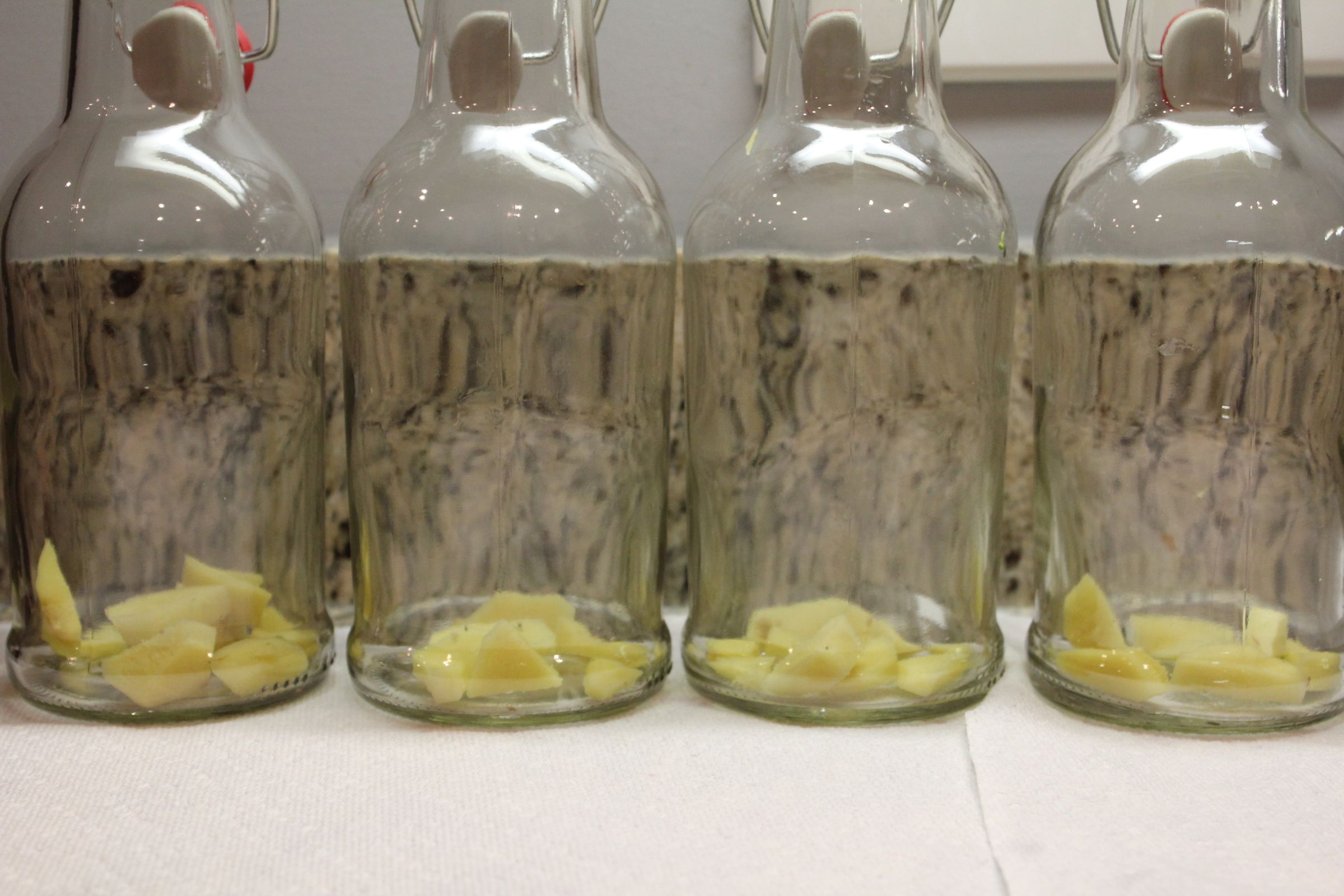 Double Fermented Kombucha : 10 Steps (with Pictures) - Instructables