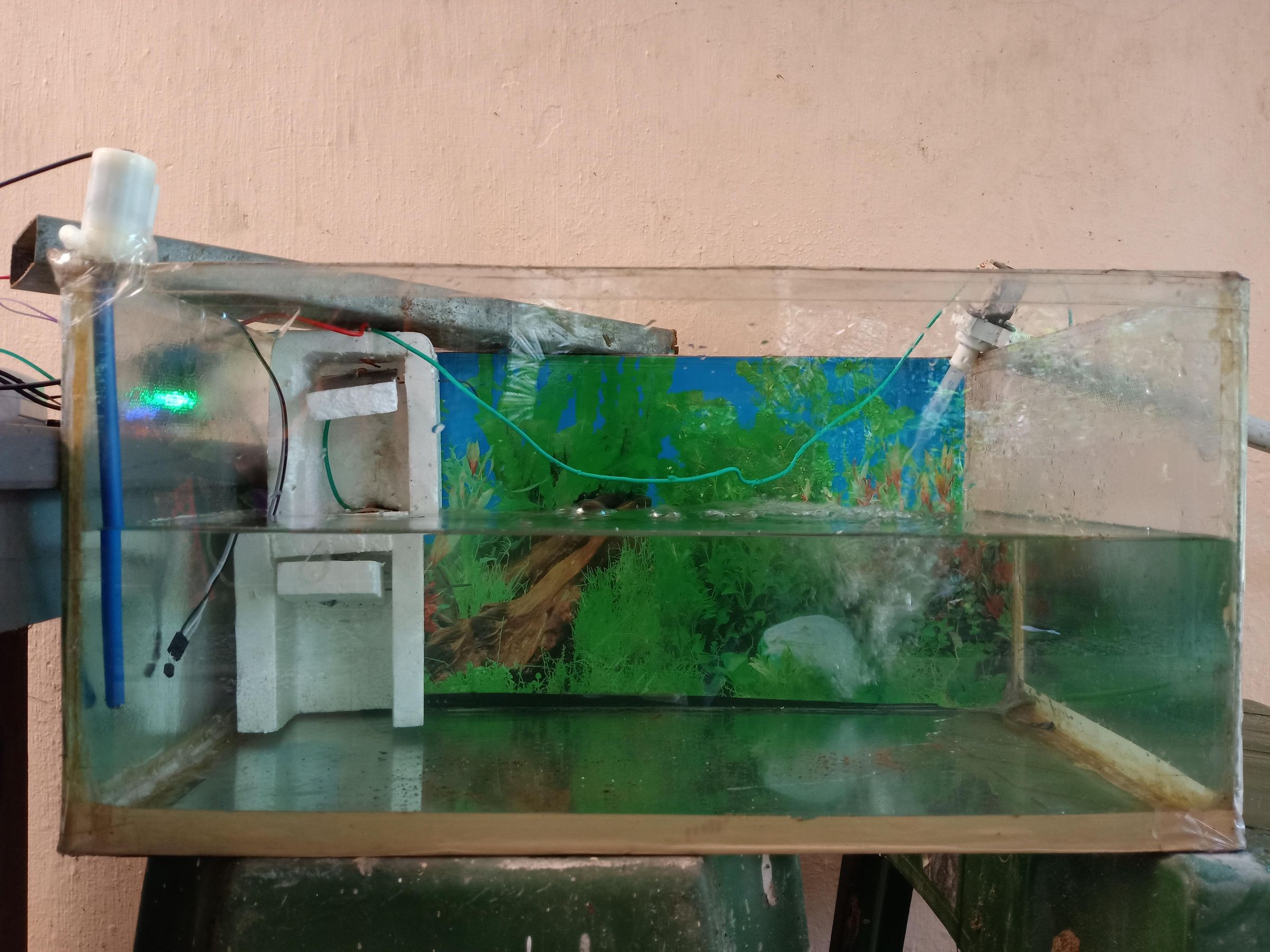 Automated Aquarium : 4 Steps - Instructables