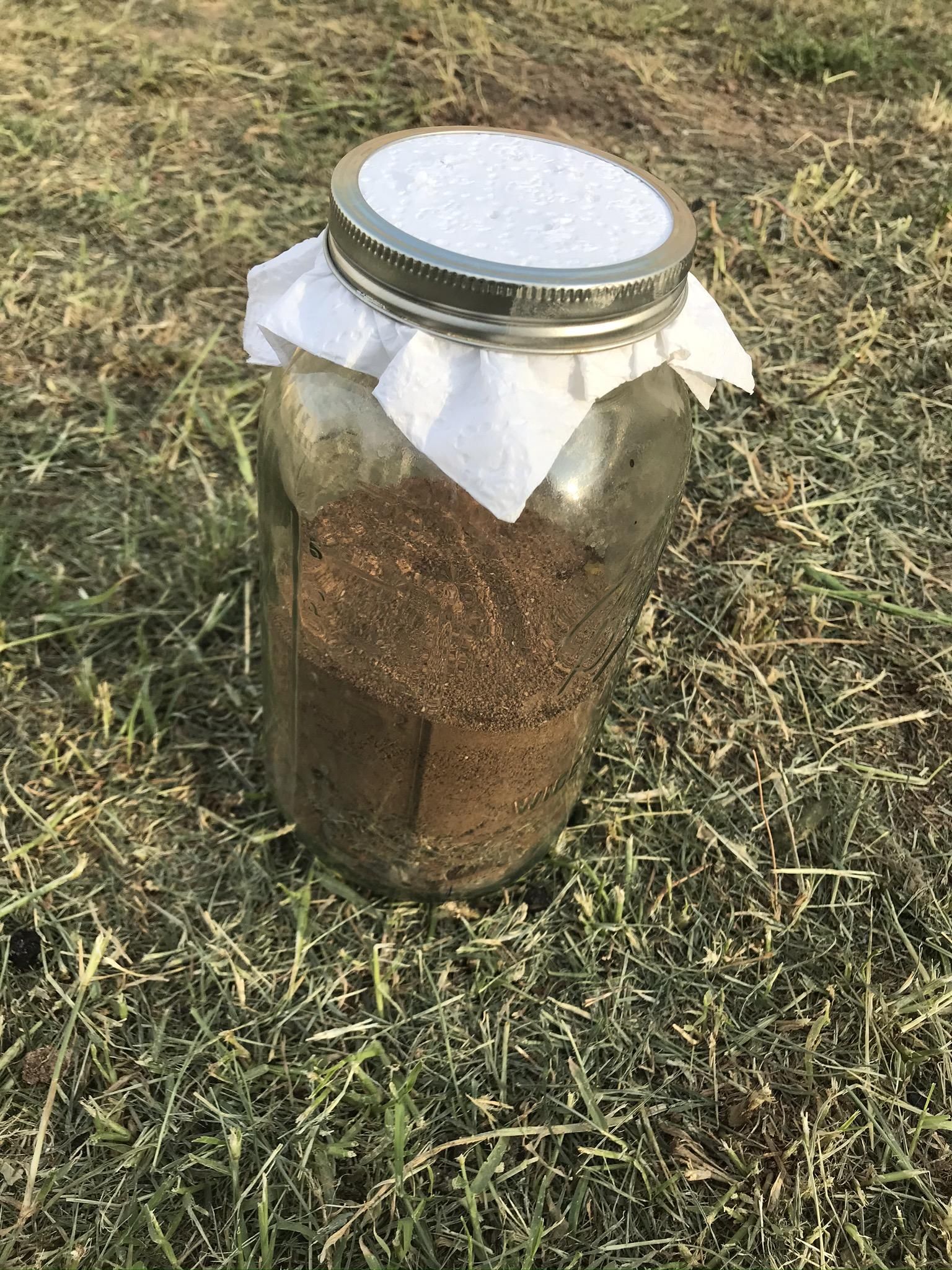 Ant Keeping Project : 4 Steps - Instructables