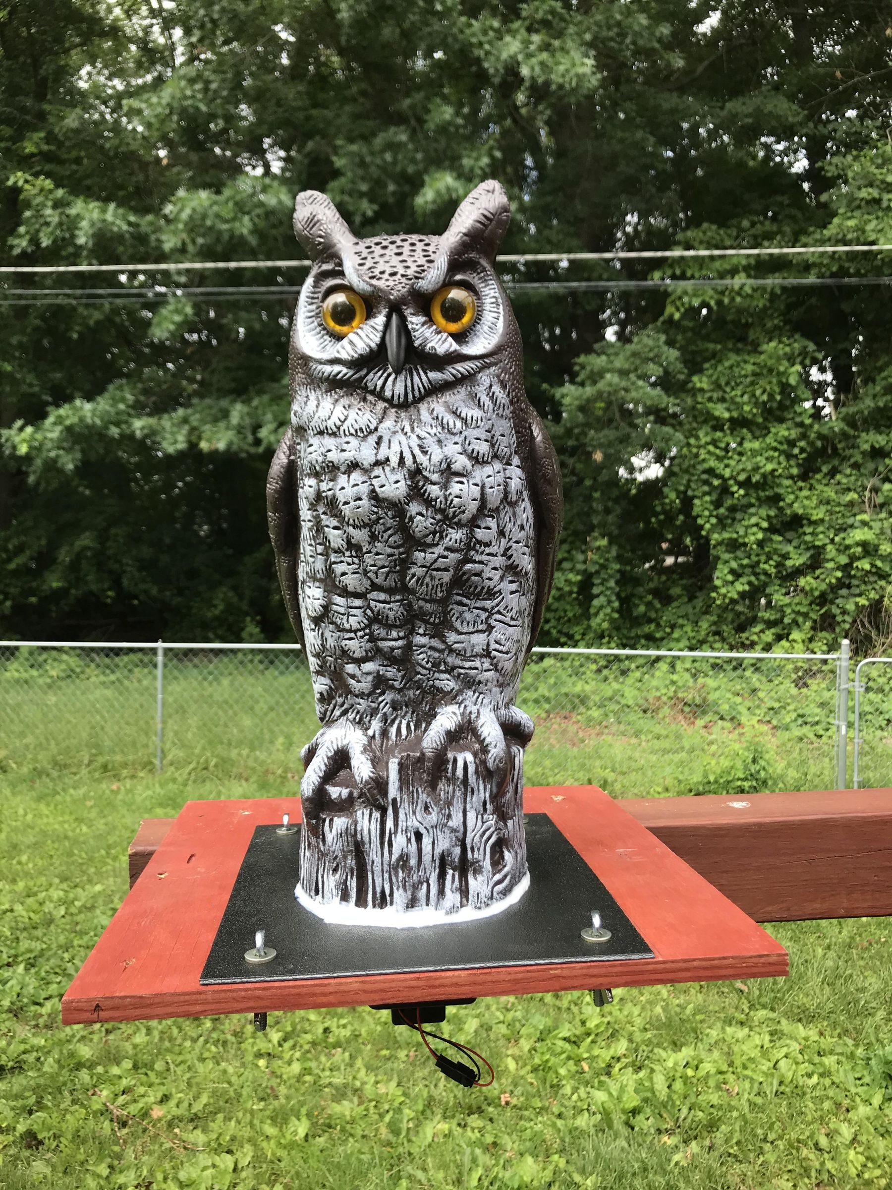 Automated Garden Owl Scarecrow : 7 Steps (with Pictures) - Instructables