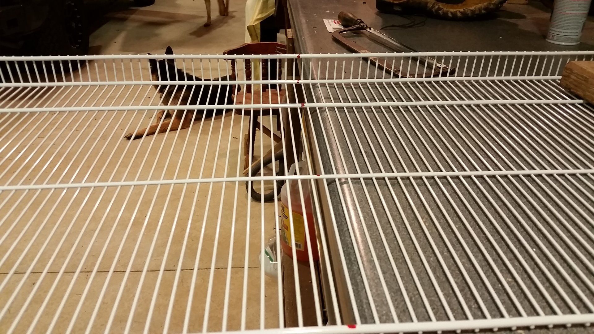 Window Grates (Automotive) : 5 Steps - Instructables