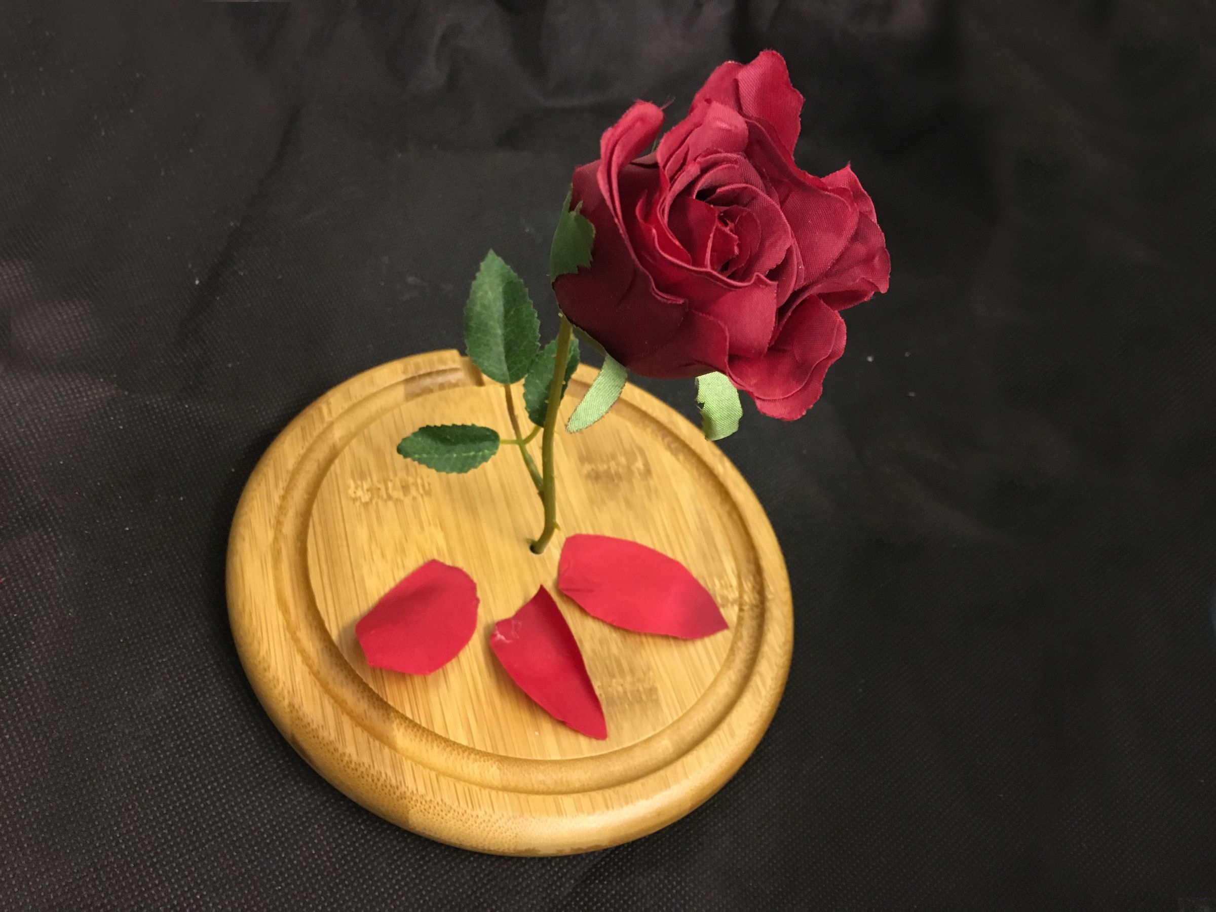 Enchanted Rose - Beauty and the Beast : 6 Steps (with Pictures ...