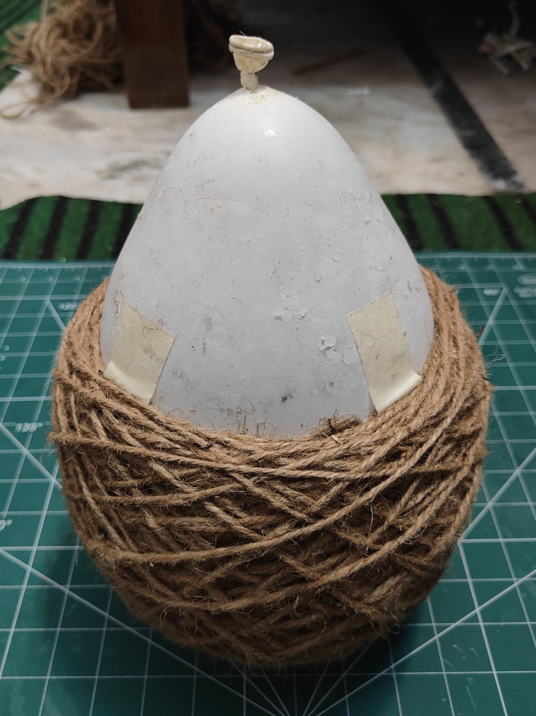 Bird's Nest From Jute Thread: Perfect Home for Our Little Buddies : 9 ...