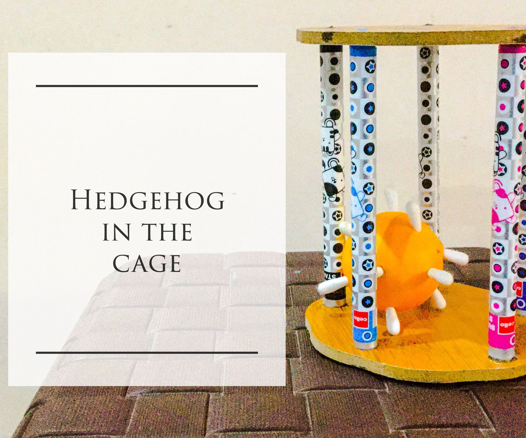 Hedgehog in the Cage! : 7 Steps (with Pictures) - Instructables