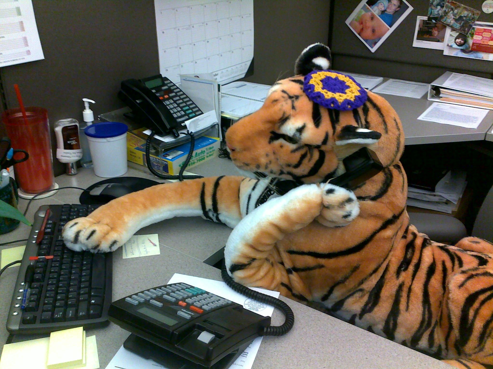 Cubicle Tiger at Work - Instructables