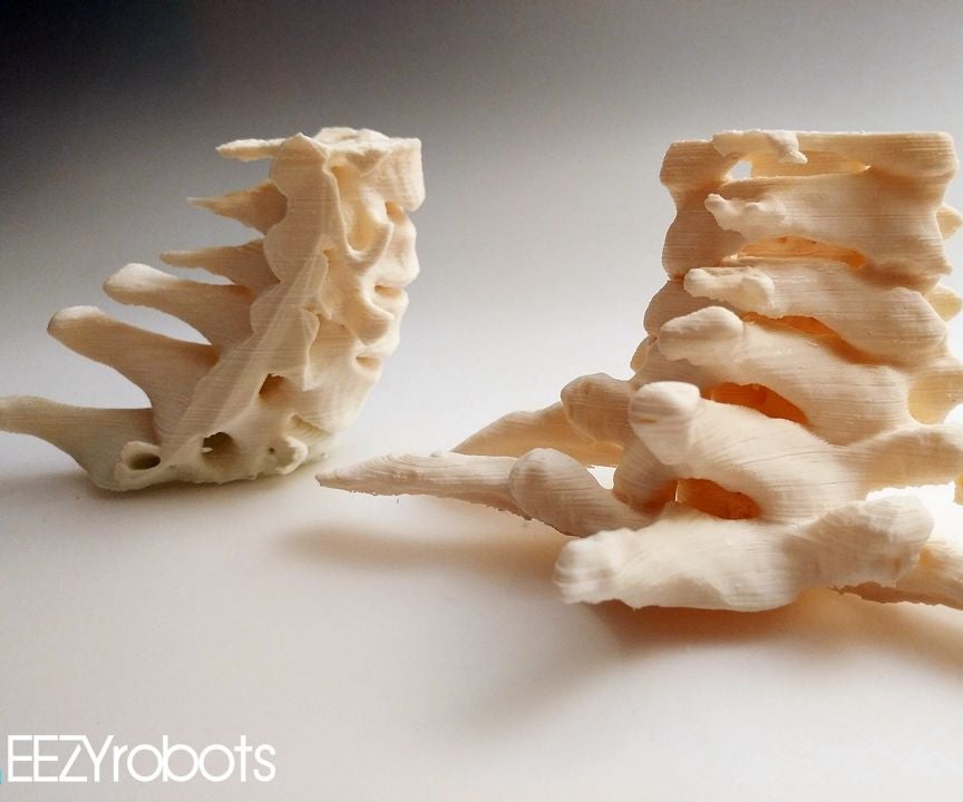 3D Printed Cervical Spine : 4 Steps (with Pictures) - Instructables