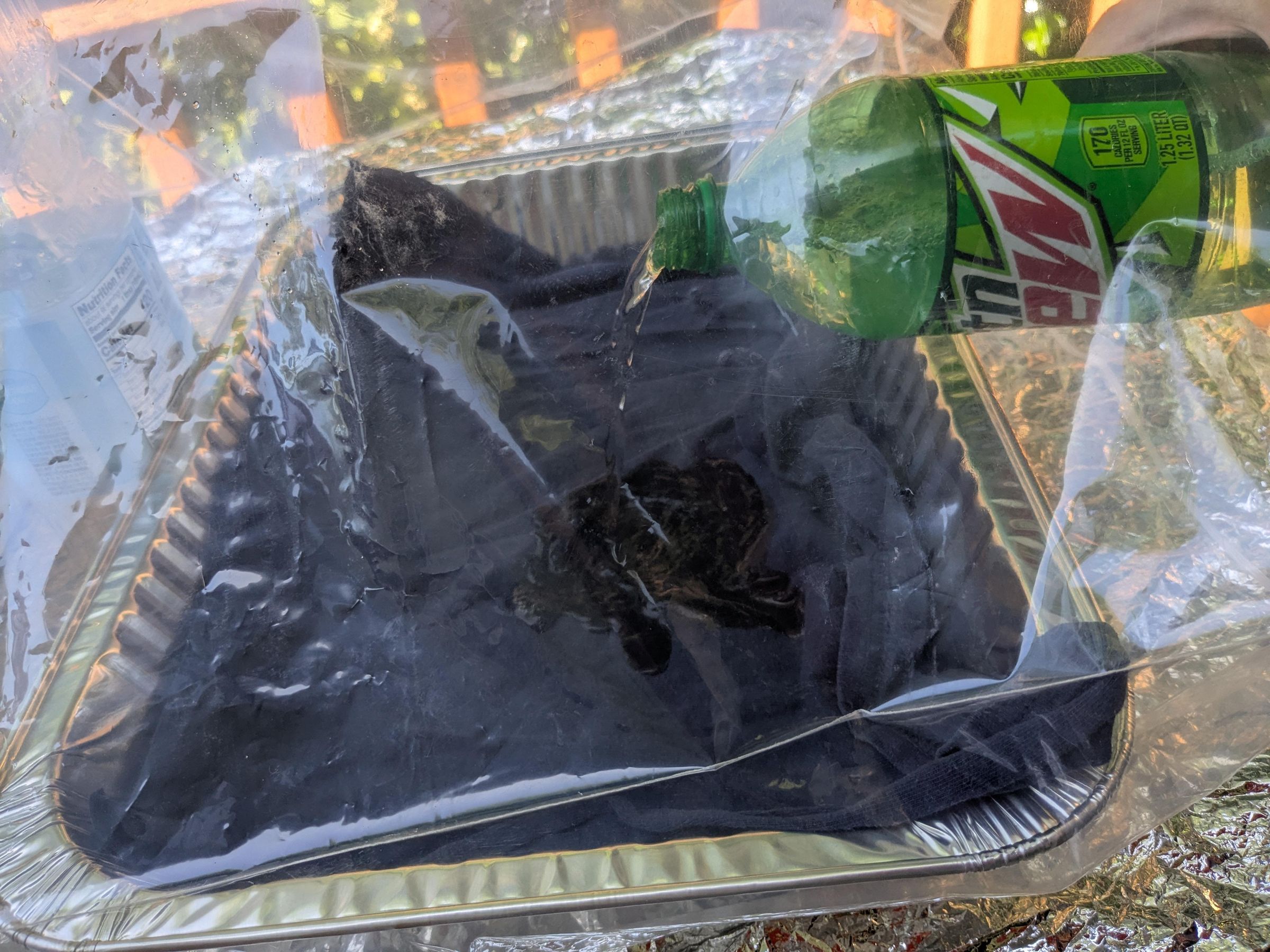 $8 Ziploc Emergency Solar Still : 13 Steps (with Pictures) - Instructables