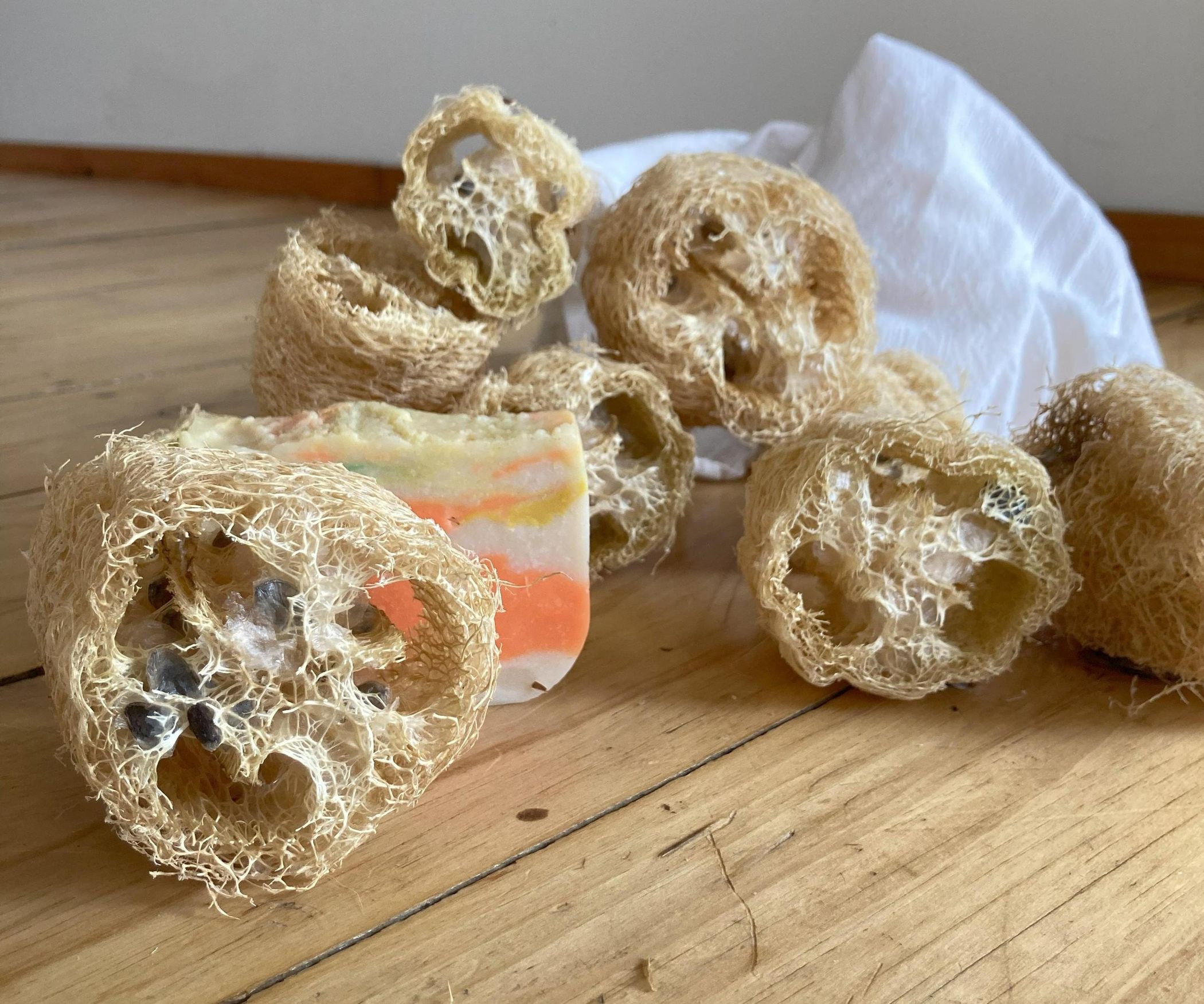 Growing Luffa for Compostable Cleaning Sponges : 8 Steps (with Pictures ...