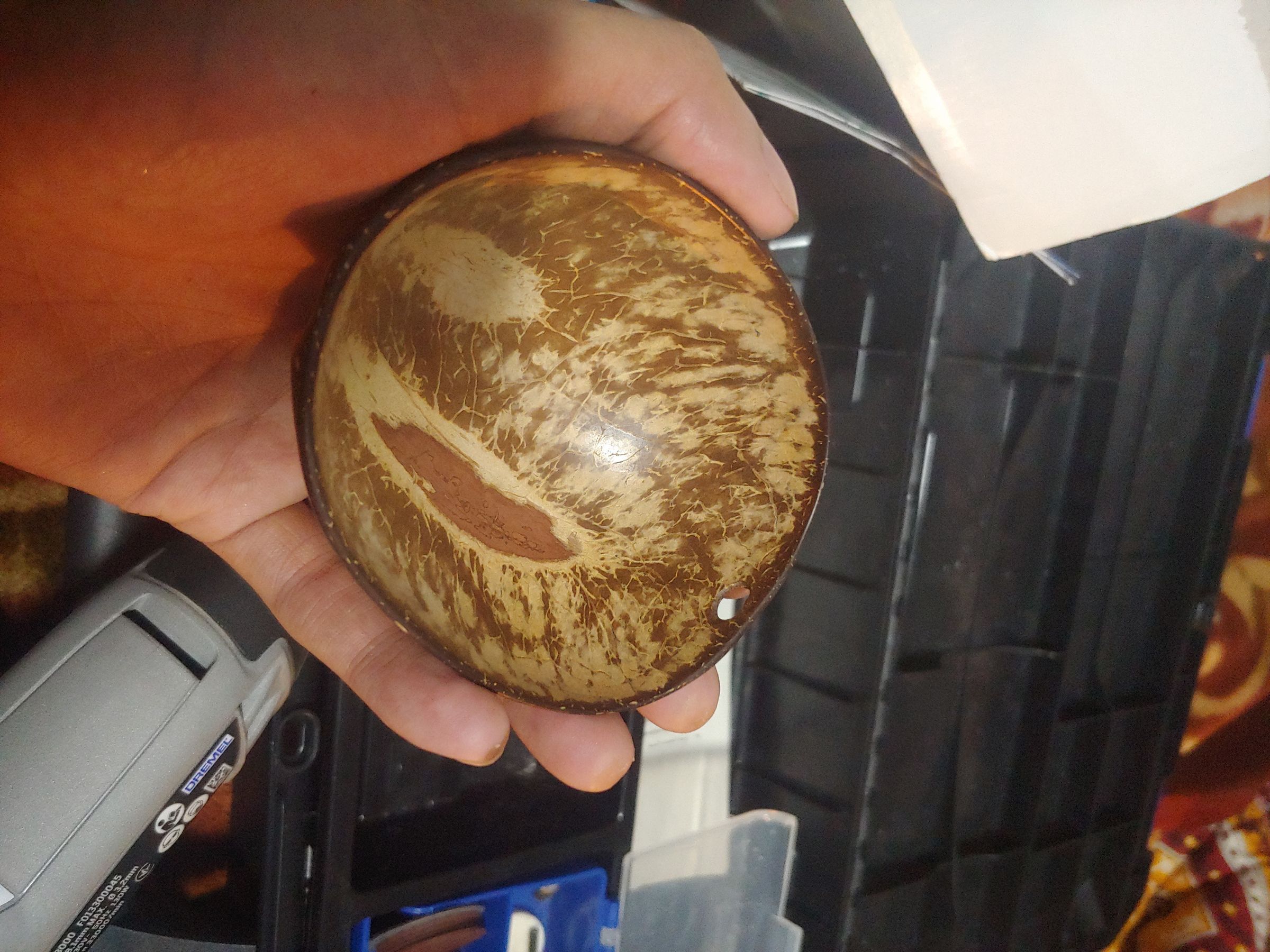 Making a Coconut Bowl (Super Easy Way) : 8 Steps (with Pictures ...