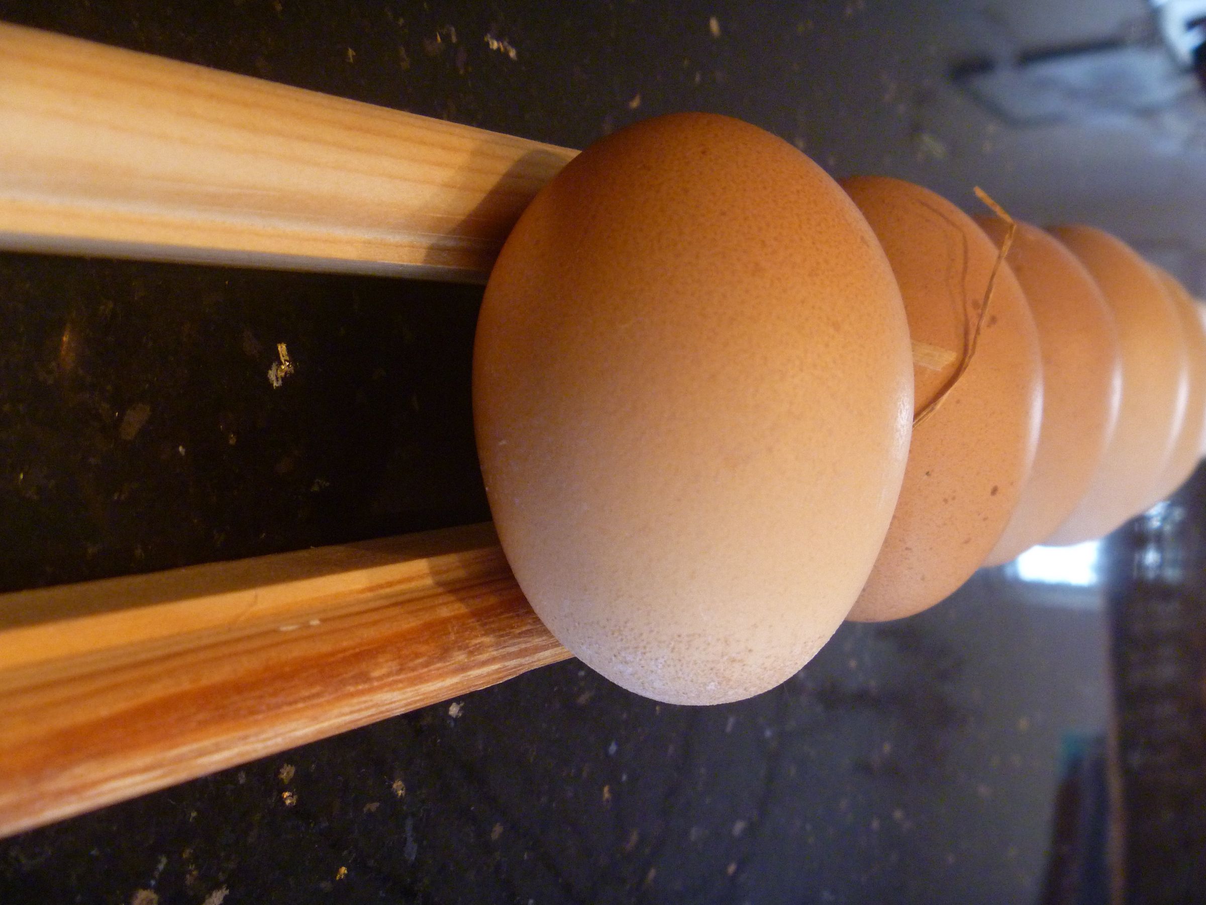 High Volume Egg Storage Rack : 7 Steps (with Pictures) - Instructables