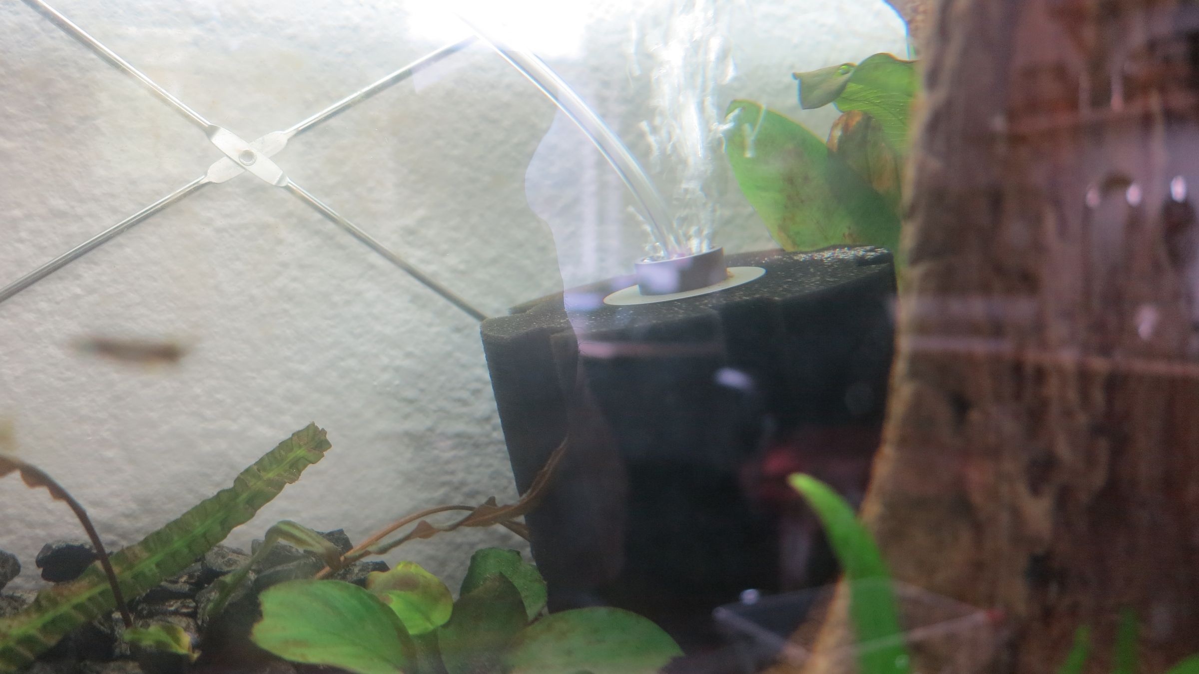 Ebb and Flow Aquaponics for the Office : 12 Steps (with Pictures ...